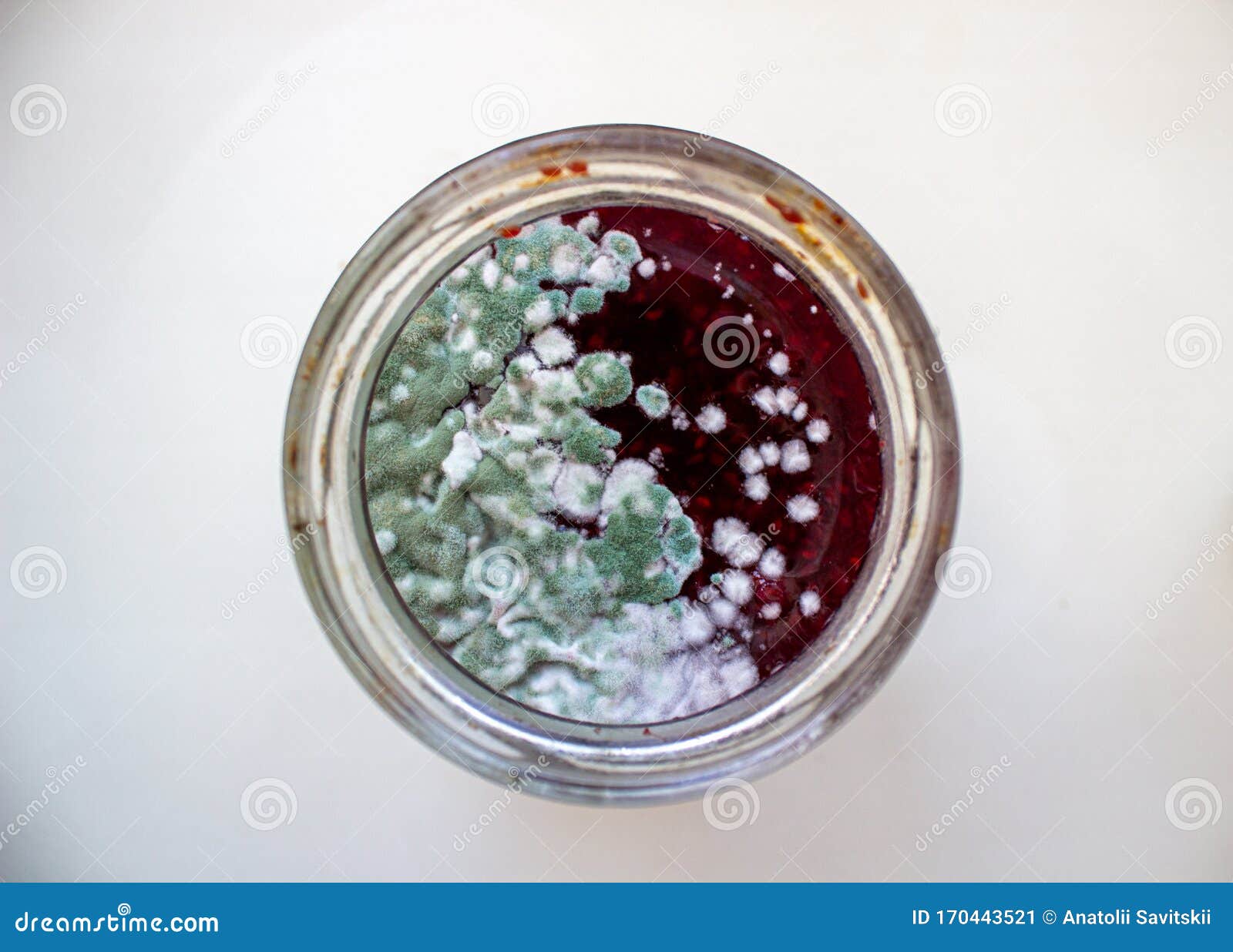 Mold in a Jar of Jam. Hazardous To Health Stock Image - Image of ...