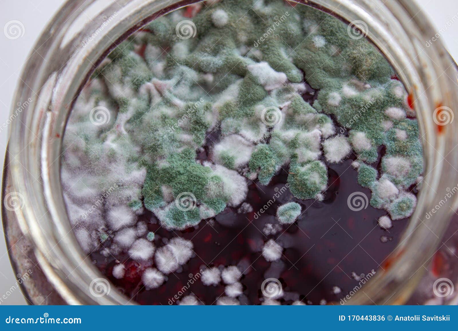Mold in a Jar of Jam. Hazardous To Health Stock Photo - Image of ...