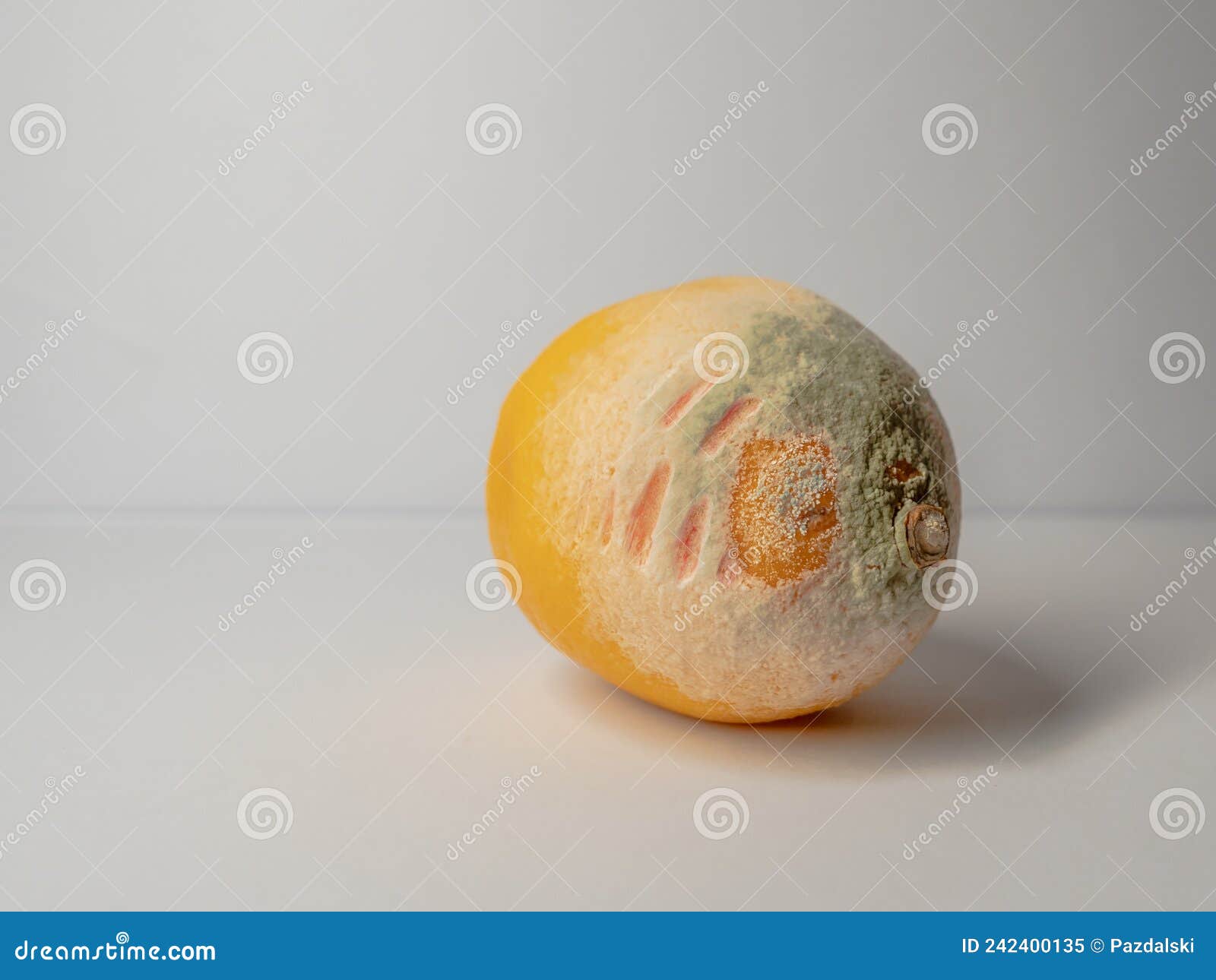 Mold on a Lemon on a White Background. Stock Image - Image of damage ...