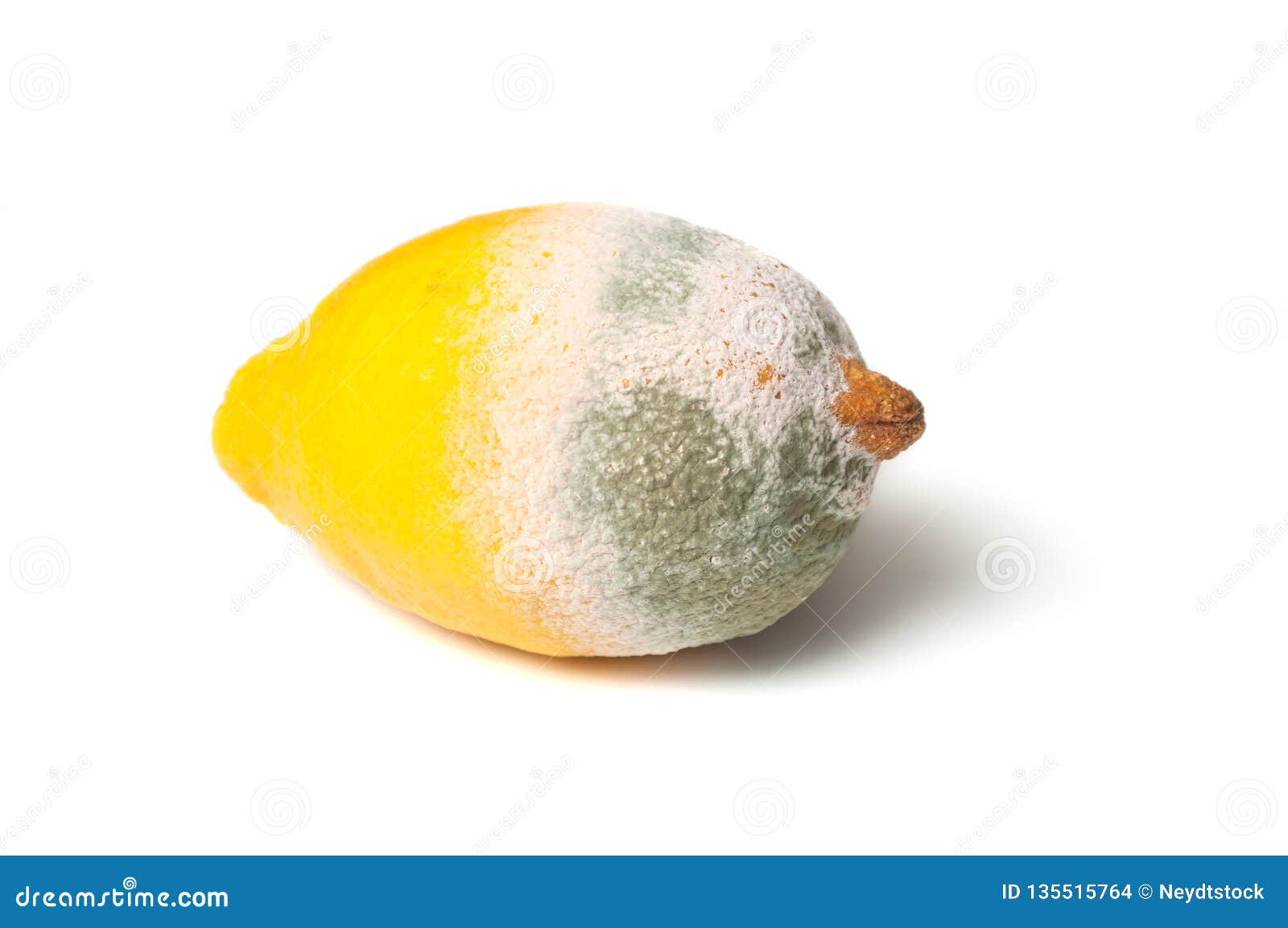 Mold on Lemon on White Background Stock Photo - Image of white, lemon ...