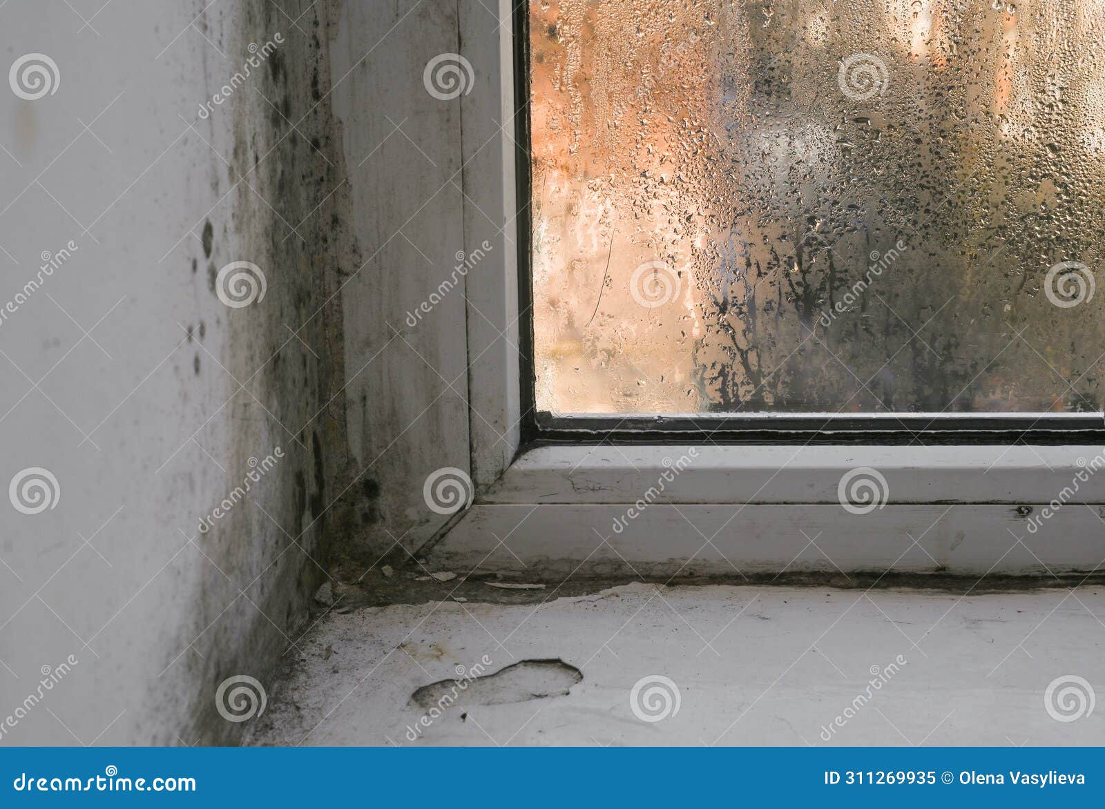 Mold and Mildew Appear on a Wet Window Stock Image - Image of dampness ...