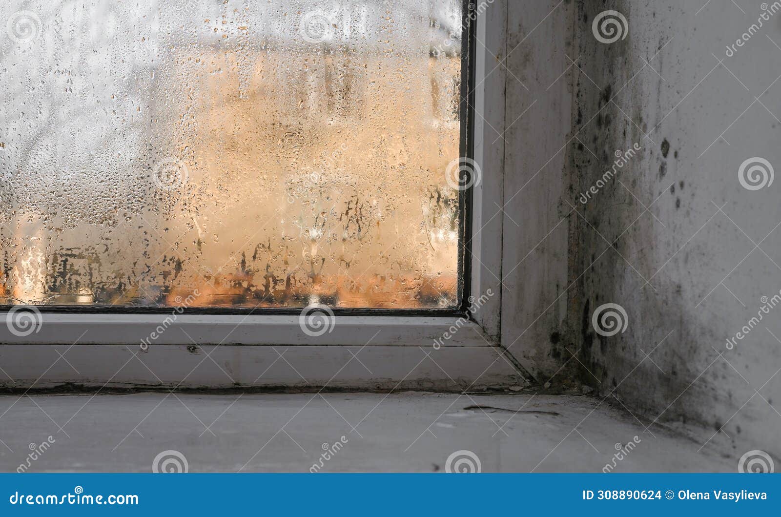 Mold and Mildew Appear on the Window Stock Photo - Image of house, mold ...