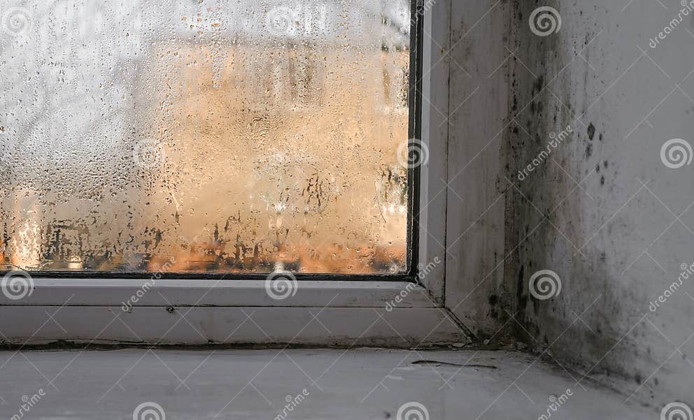 Mold and Mildew Appear on the Window Stock Photo - Image of house, mold ...