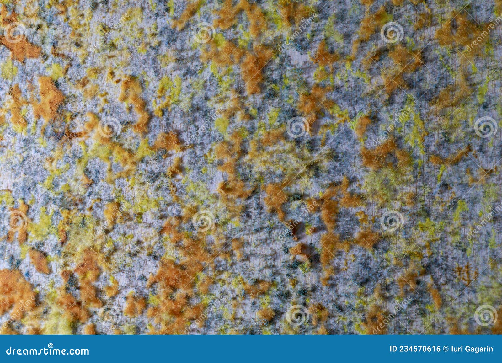 Mold or Mildew Growing on the Surface. Abstract Background with Soft ...