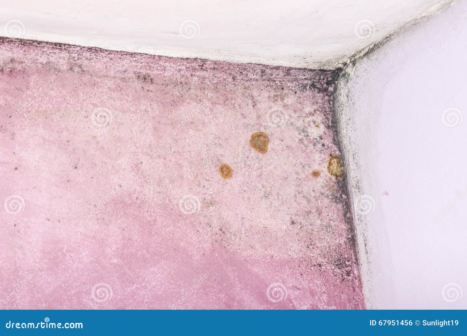 Mold and Moisture Buildup on Pink Wall Stock Photo - Image of mist ...