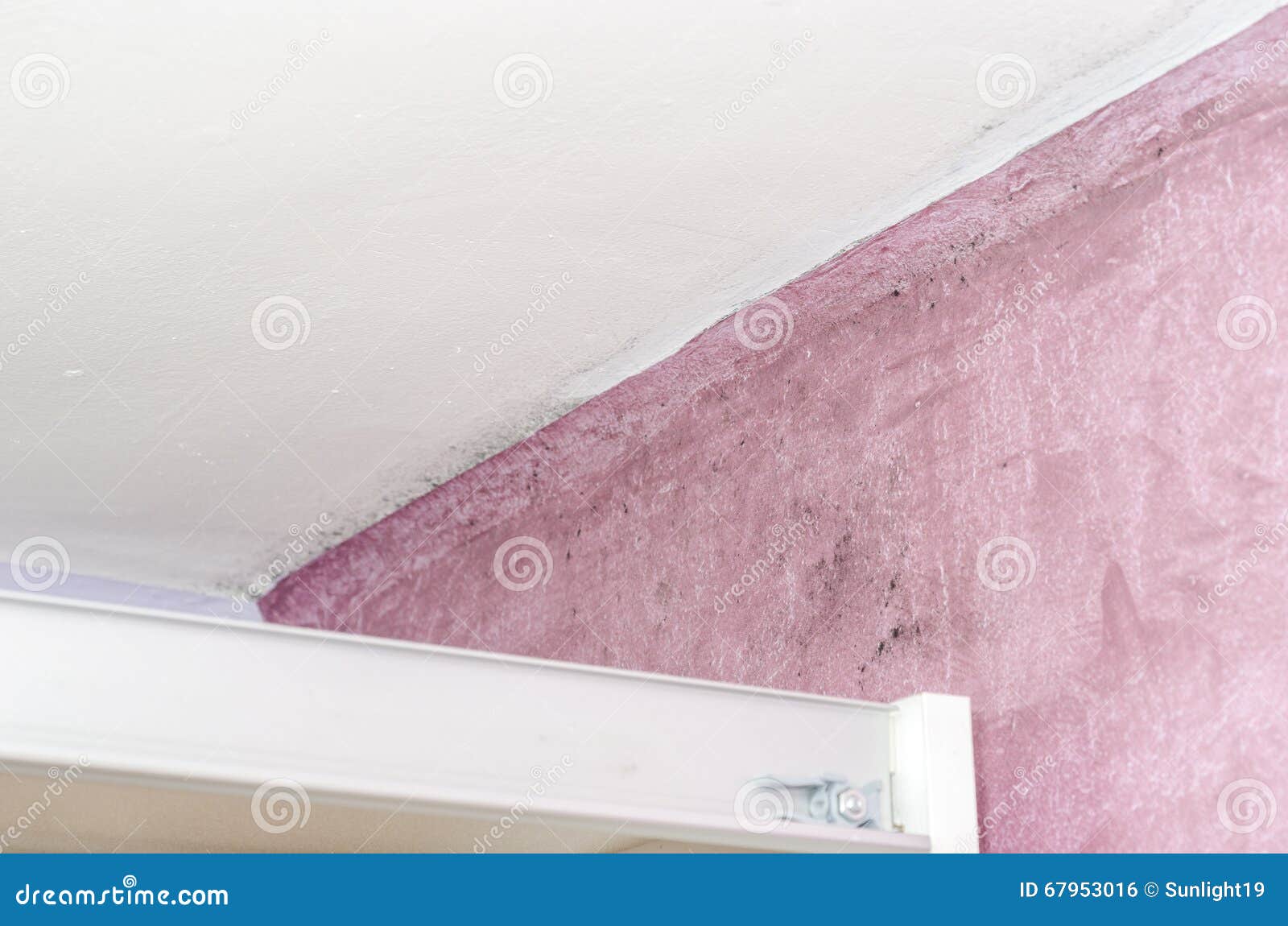 Mold and Moisture Buildup on Pink Wall Stock Photo - Image of bacteria ...