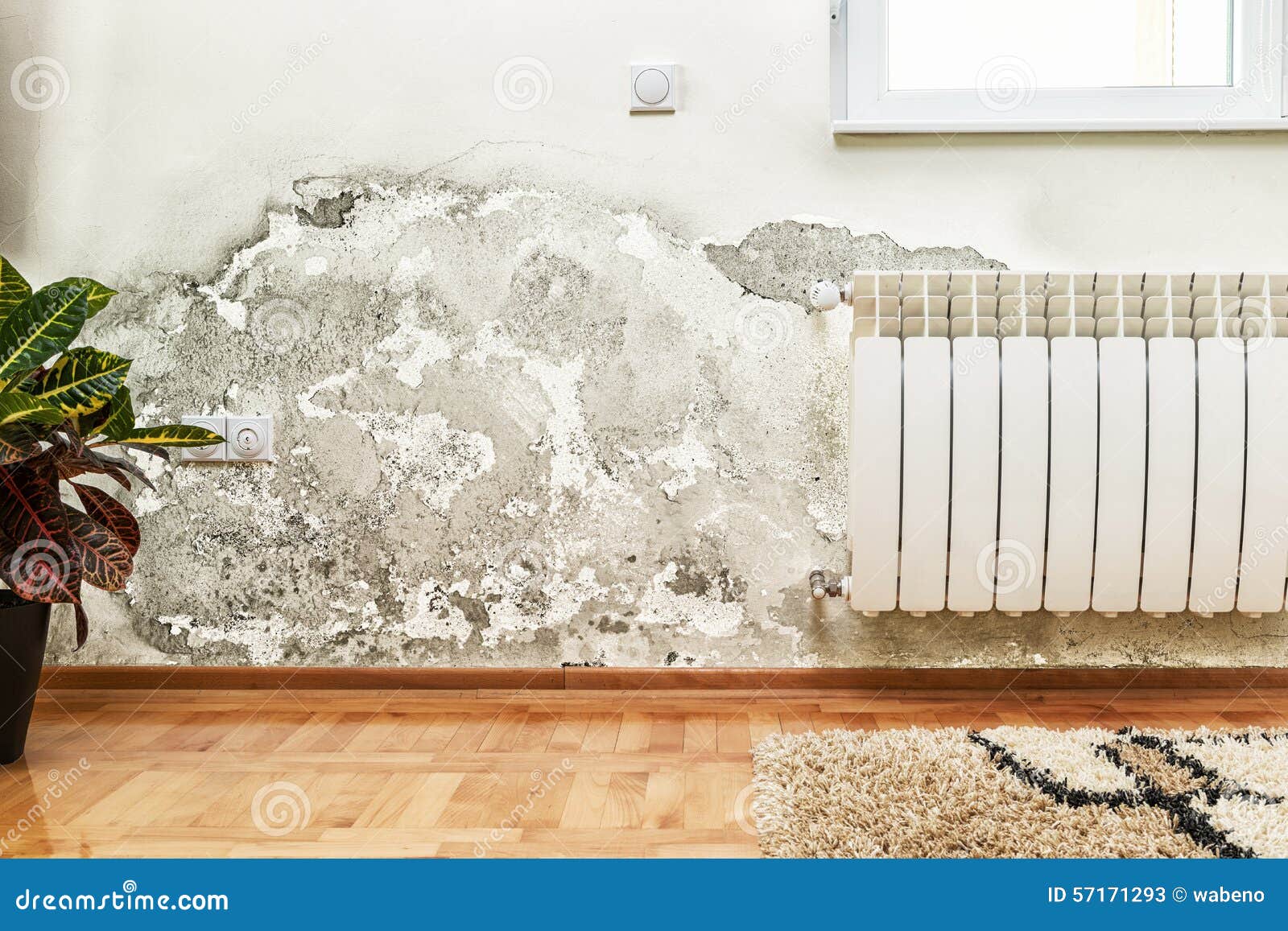 Mold and Moisture Buildup on Wall of a Modern House Stock Image - Image ...