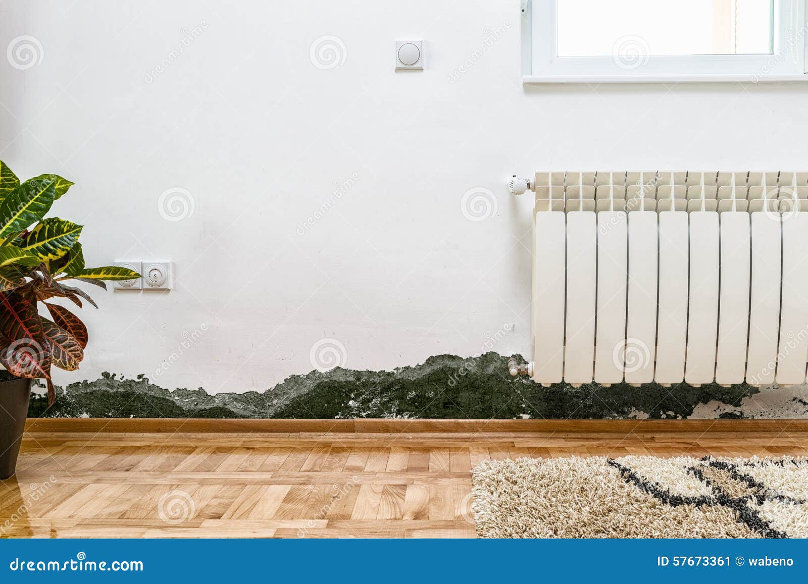 Mold and Moisture Buildup on Wall of a Modern House Stock Image - Image ...