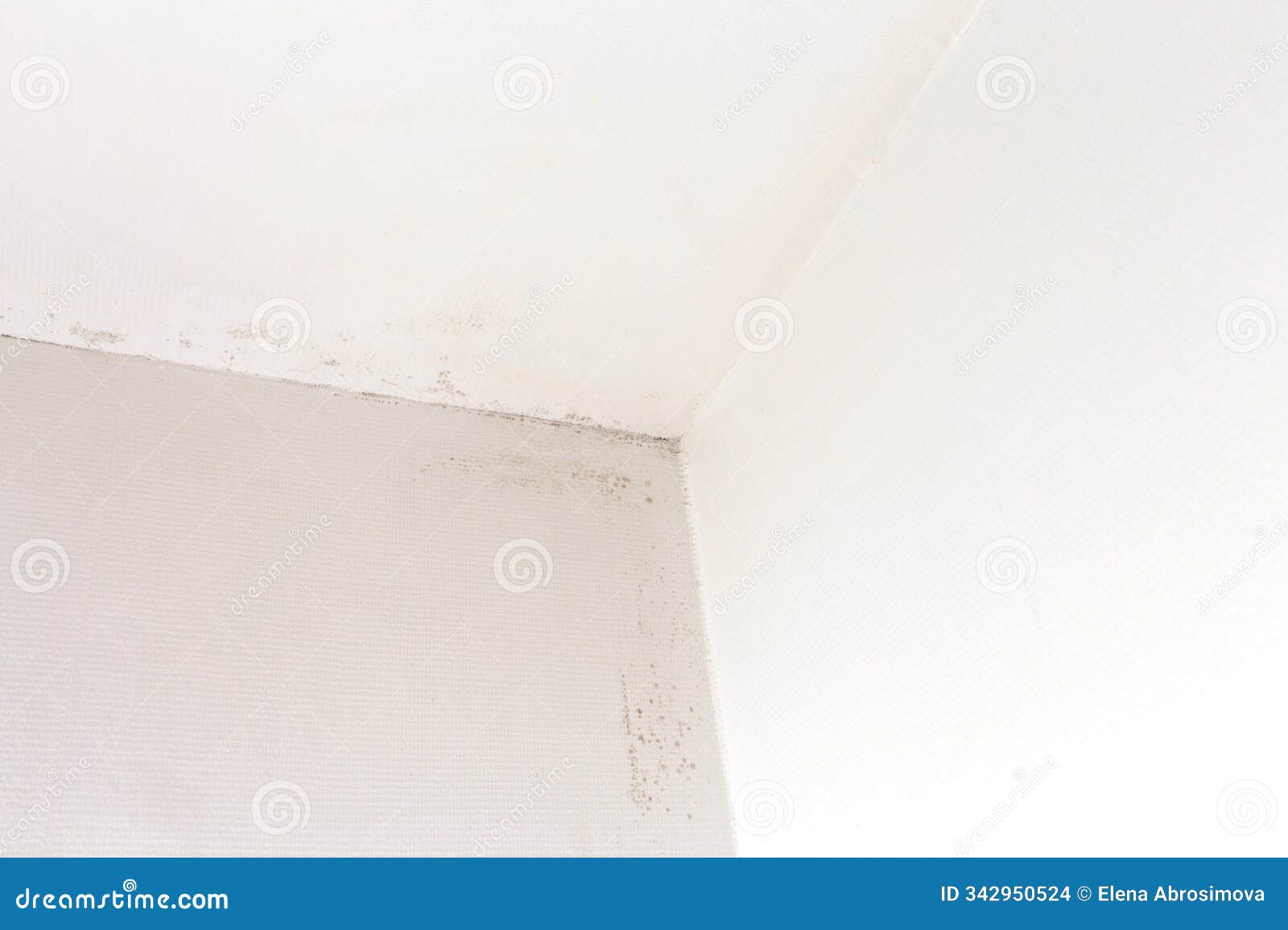 Mold and Moisture Damage on Ceiling Near Window Frame White Textured ...