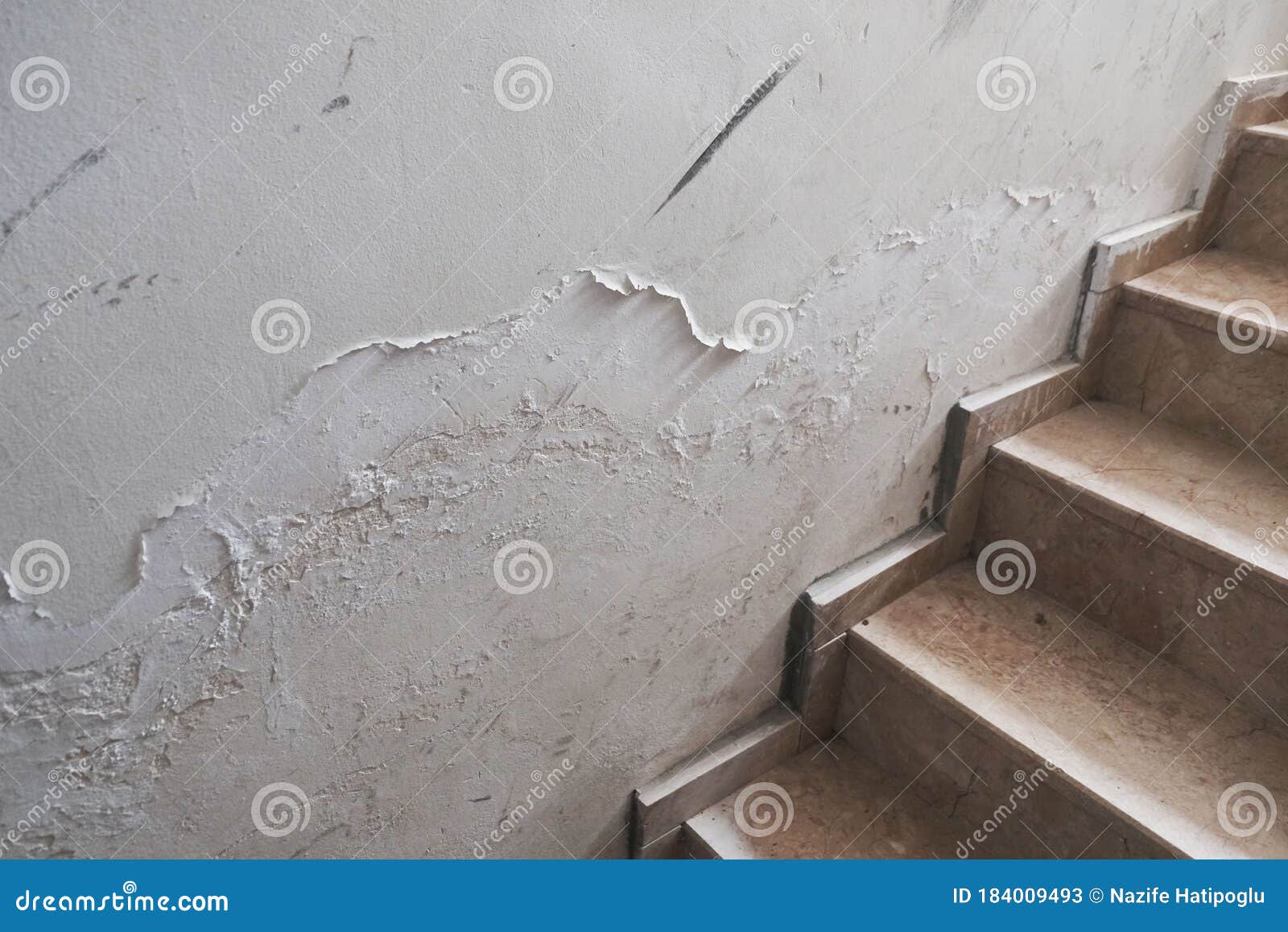 Mold Molded Due To Moisture, Moisture and Paint Spill, Mold and ...