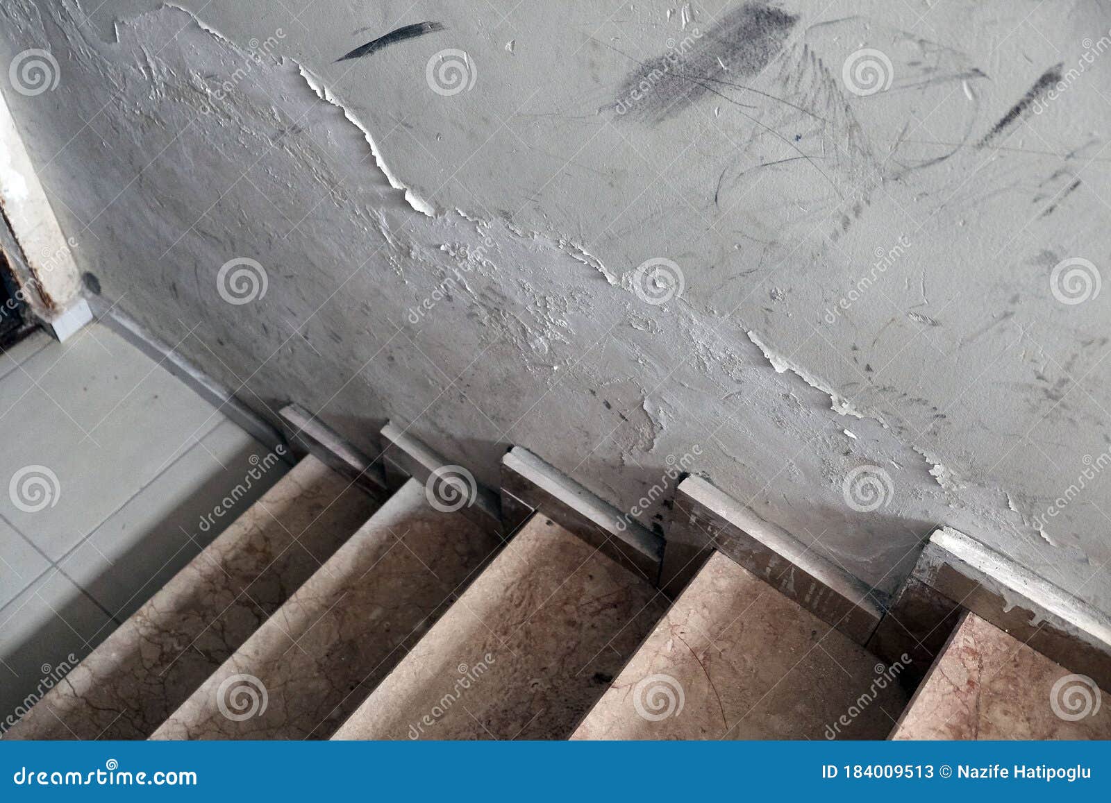 Mold Molded Due To Moisture, Moisture and Paint Spill, Mold and ...