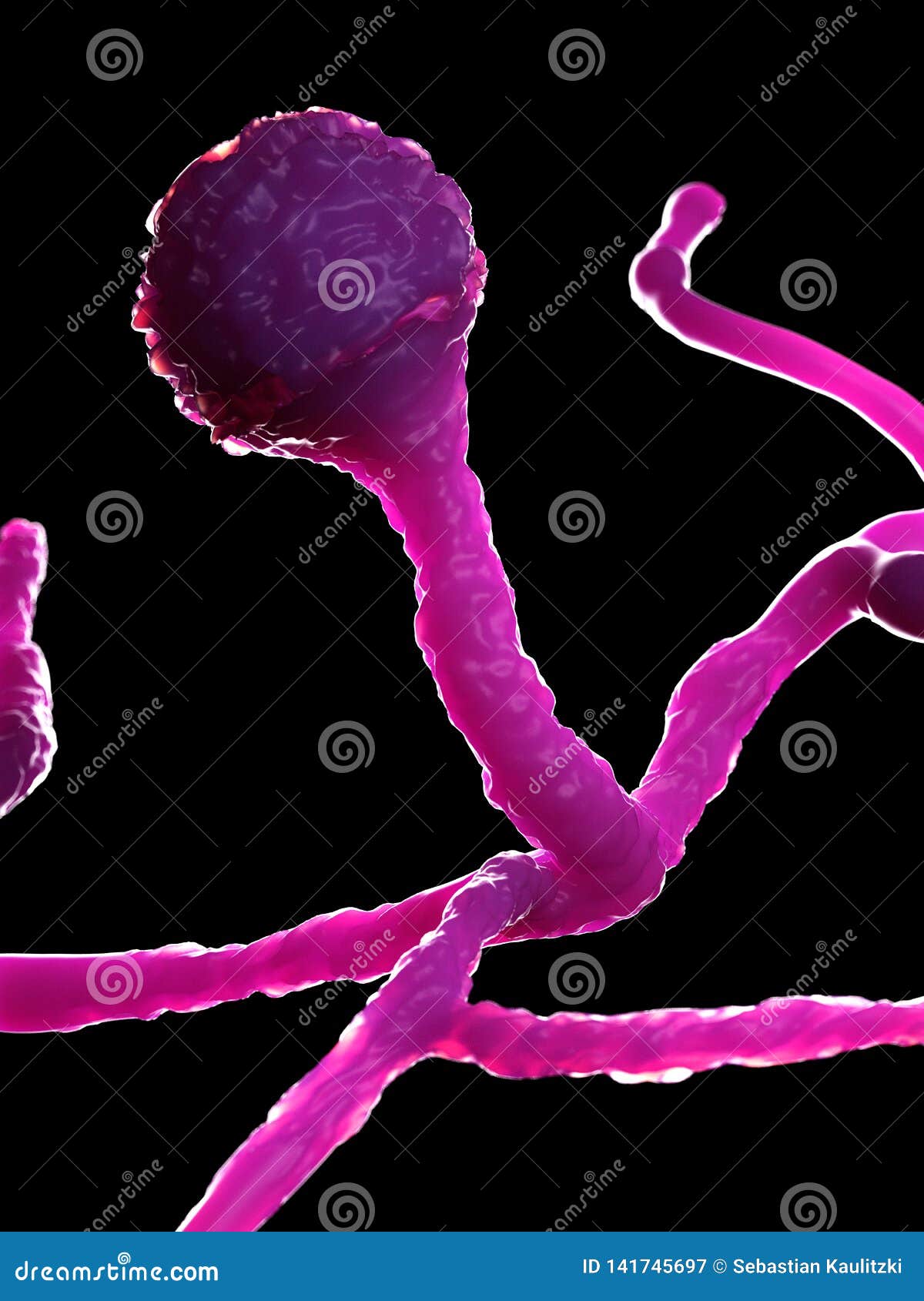 Mucor Cartoons, Illustrations & Vector Stock Images - 267 Pictures to ...