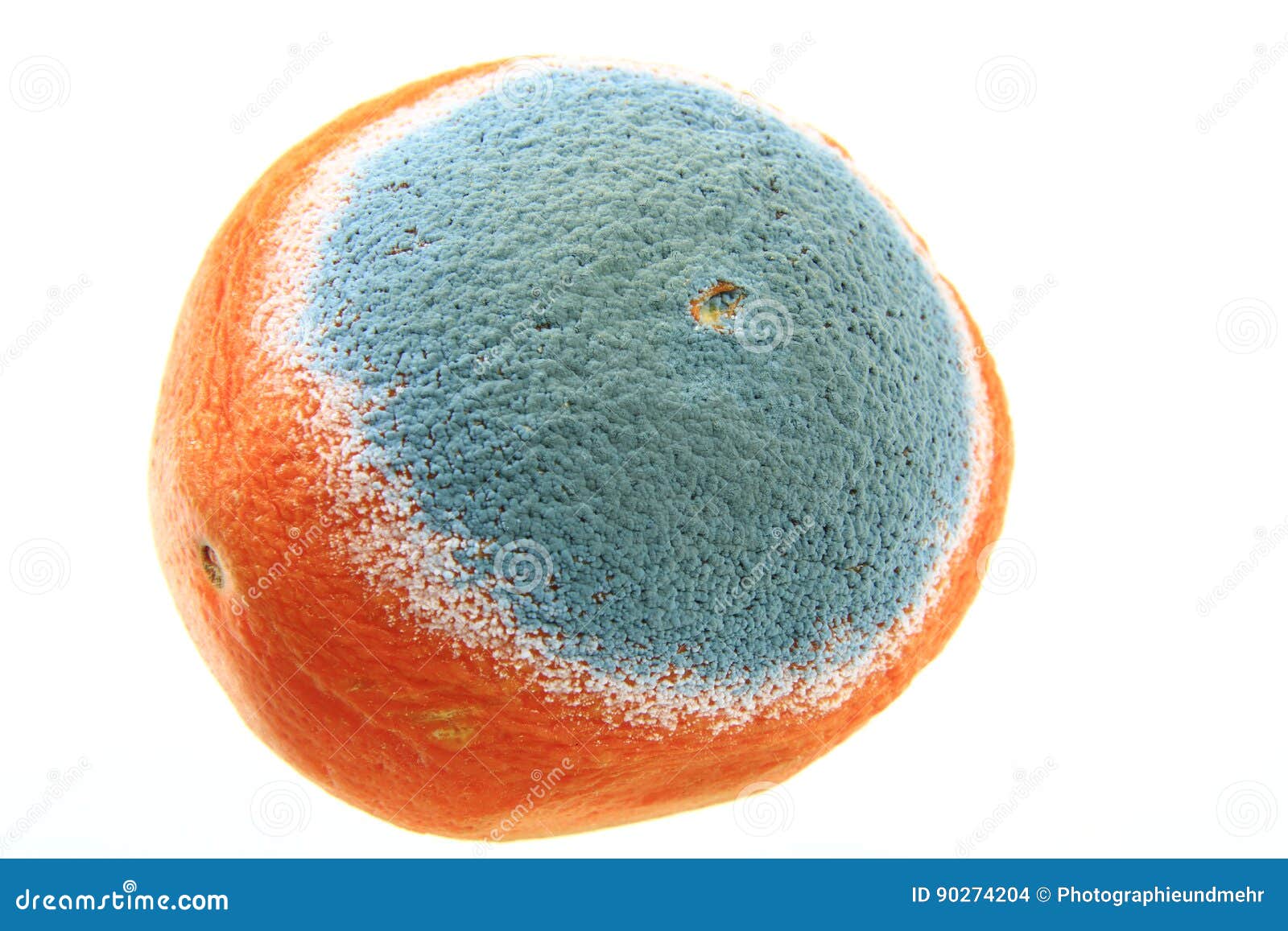 Mold on an orange stock photo. Image of background, mouldy - 90274204