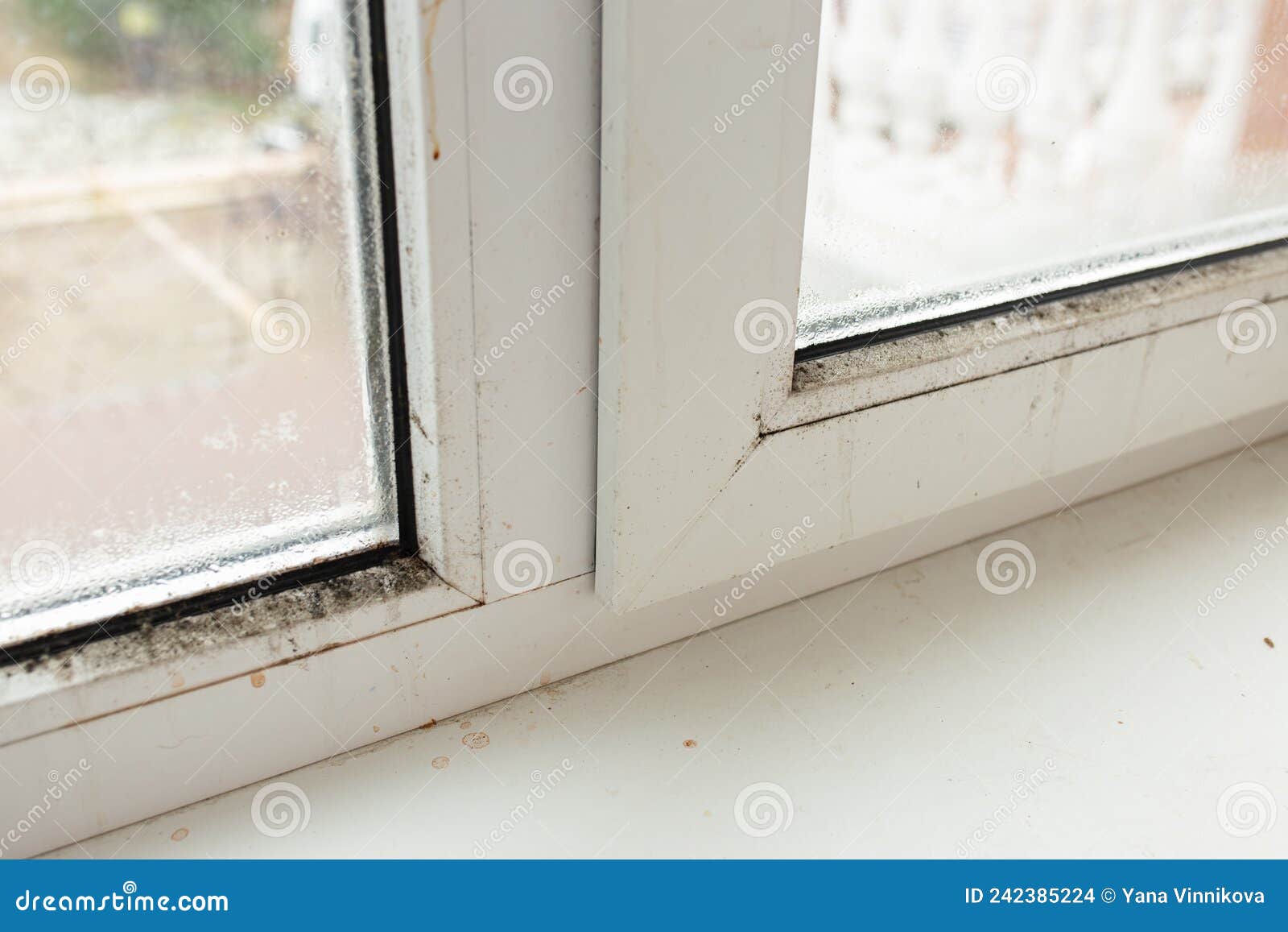Mold on Plastic Window Frame Stock Photo - Image of home, mildew: 242385224