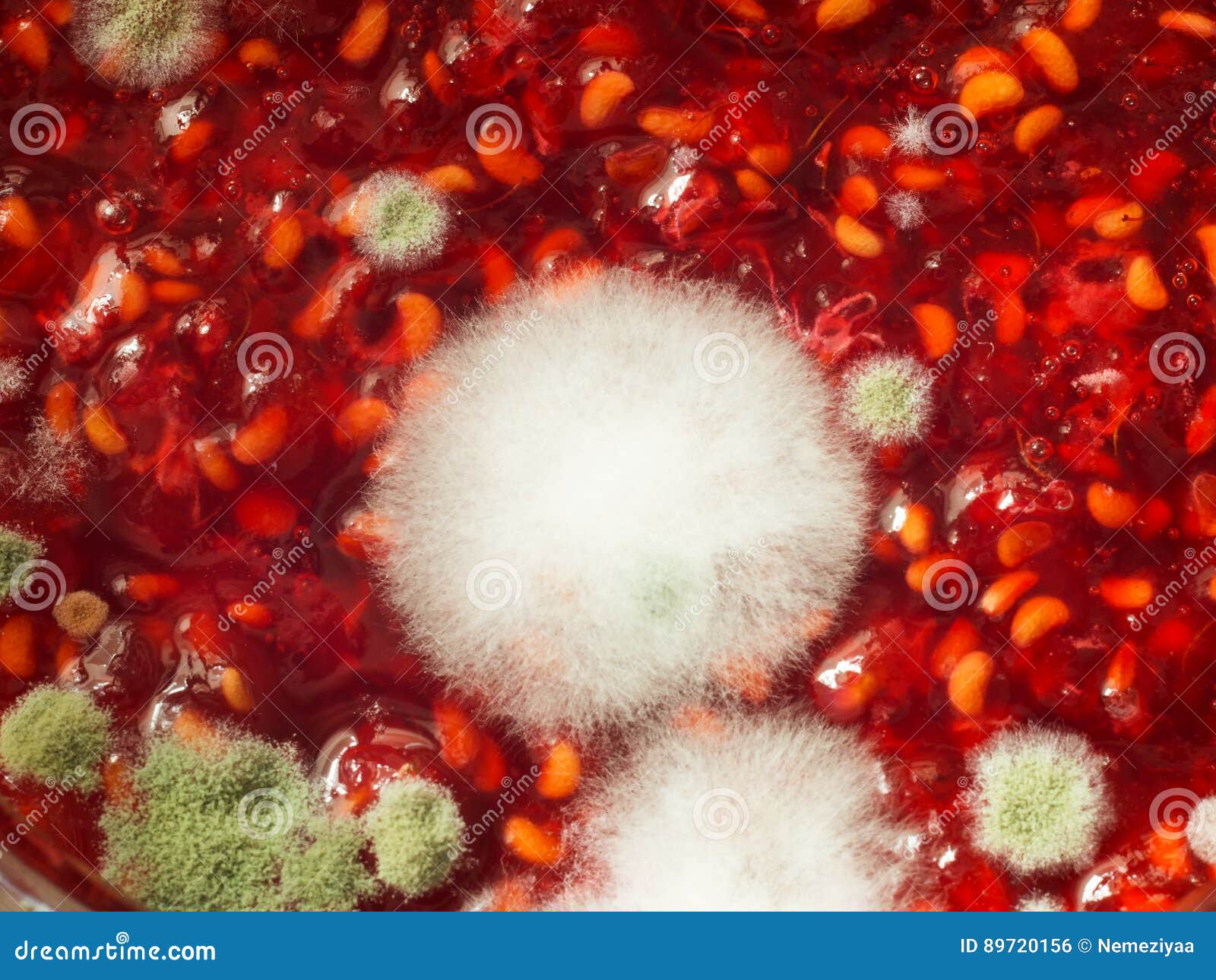 Mold on the Poor Quality of the Raspberry Stock Photo - Image of ...