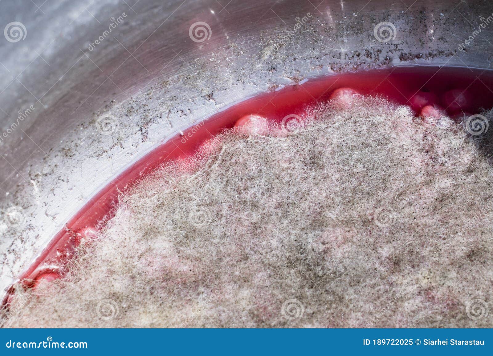 Mold on the Remains of Product in the Pan Stock Image - Image of lunch ...