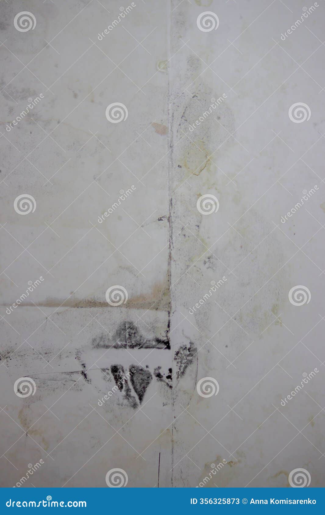 Mold Removal Spray on Wall stock image. Image of mildew - 356325873