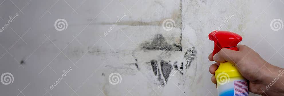 Mold Removal Spray on Wall stock photo. Image of indoor - 356325994