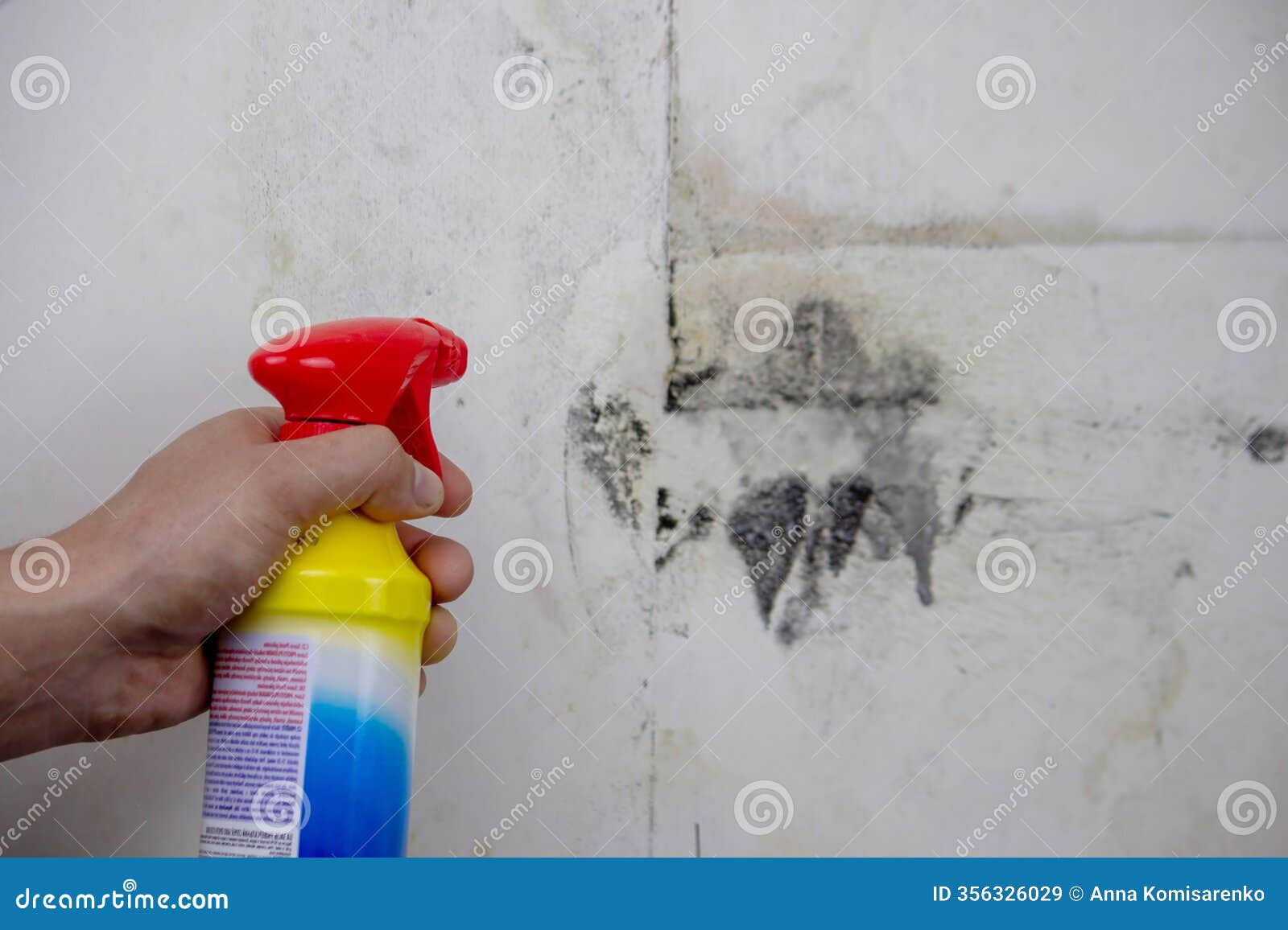 Mold Removal Spray on Wall stock image. Image of renovate - 356326029