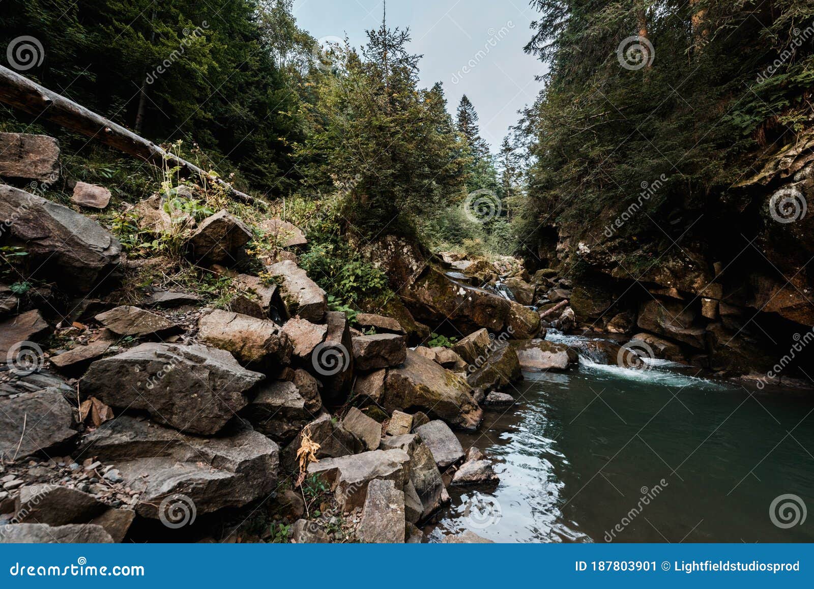 Mold on Rocks Near Lake and Green Trees Stock Image - Image of outside ...