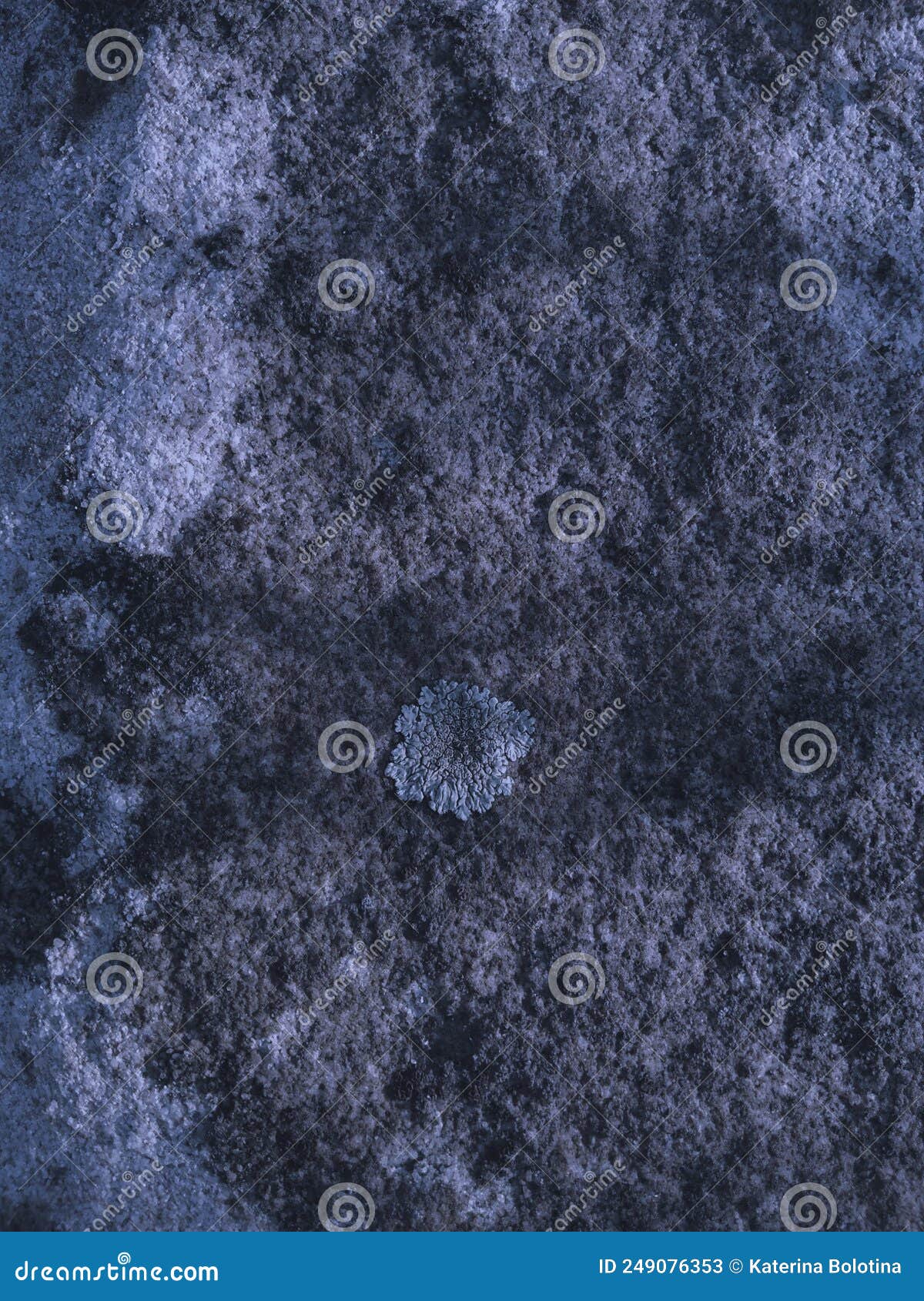 Mold Spores on Stone. Interesting Background, Texture. Natural Stone ...