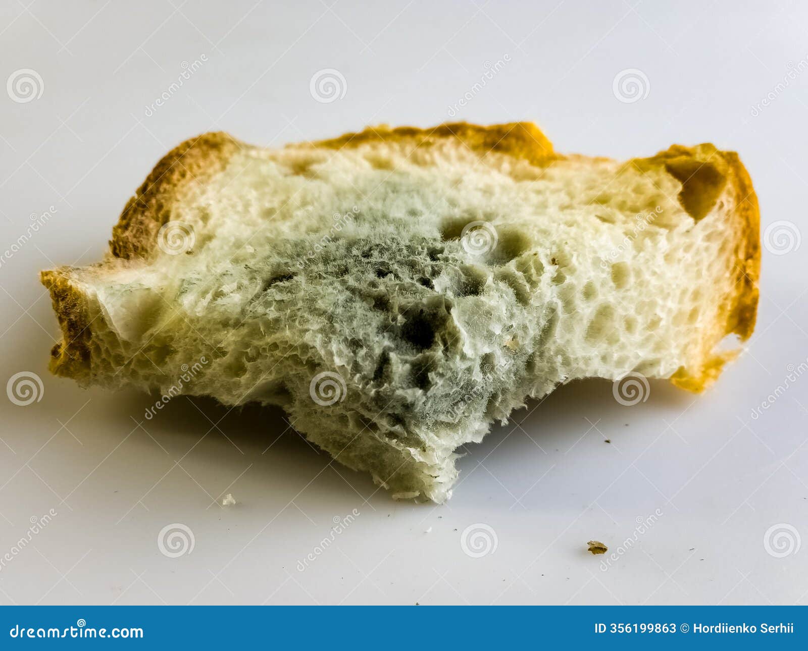 Mold on Stale Bread. the Surface of Moldy Bread. Spoiled Bread with ...