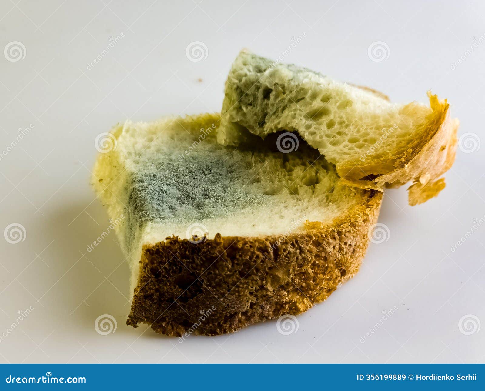 Mold on Stale Bread. the Surface of Moldy Bread Stock Image - Image of ...