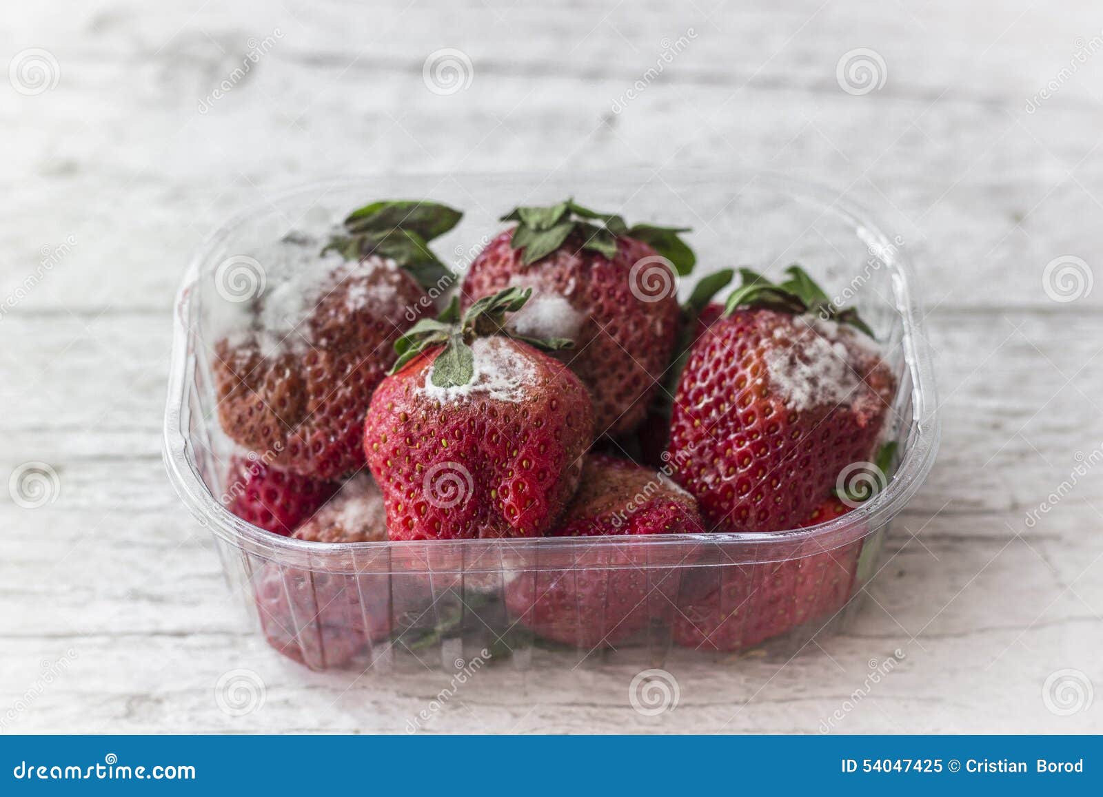 Mold Strawberry stock image. Image of decay, organic - 54047425