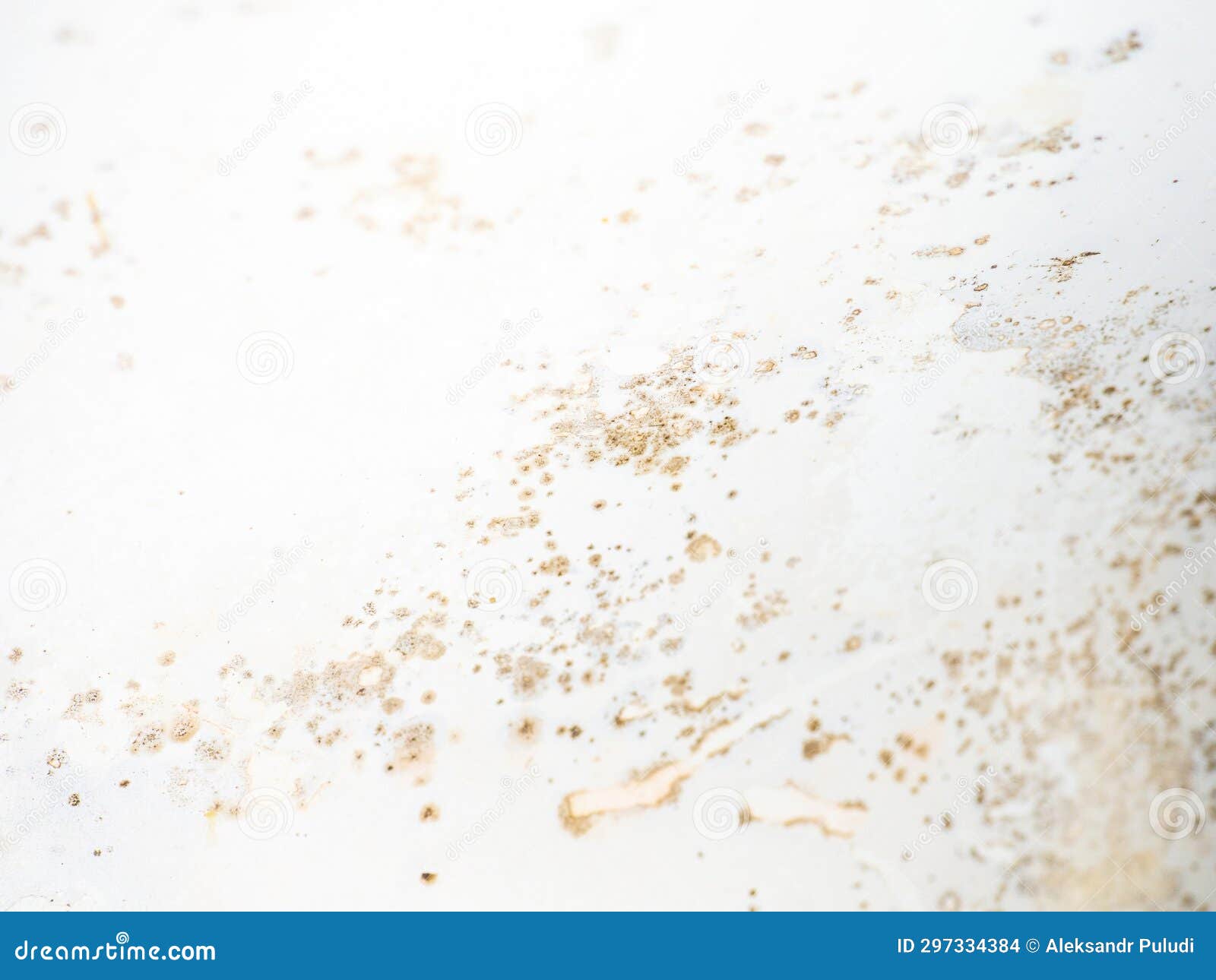 Mold on the Surface of the Bath. Dark Mold Close-up on Bath Enamel ...