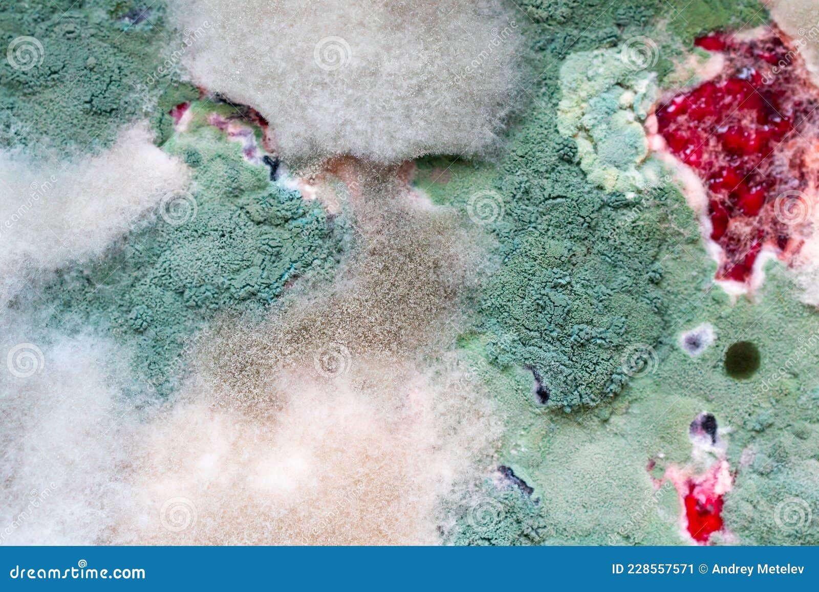 Mold on the Surface of the Jam in the Pan Stock Image - Image of ...
