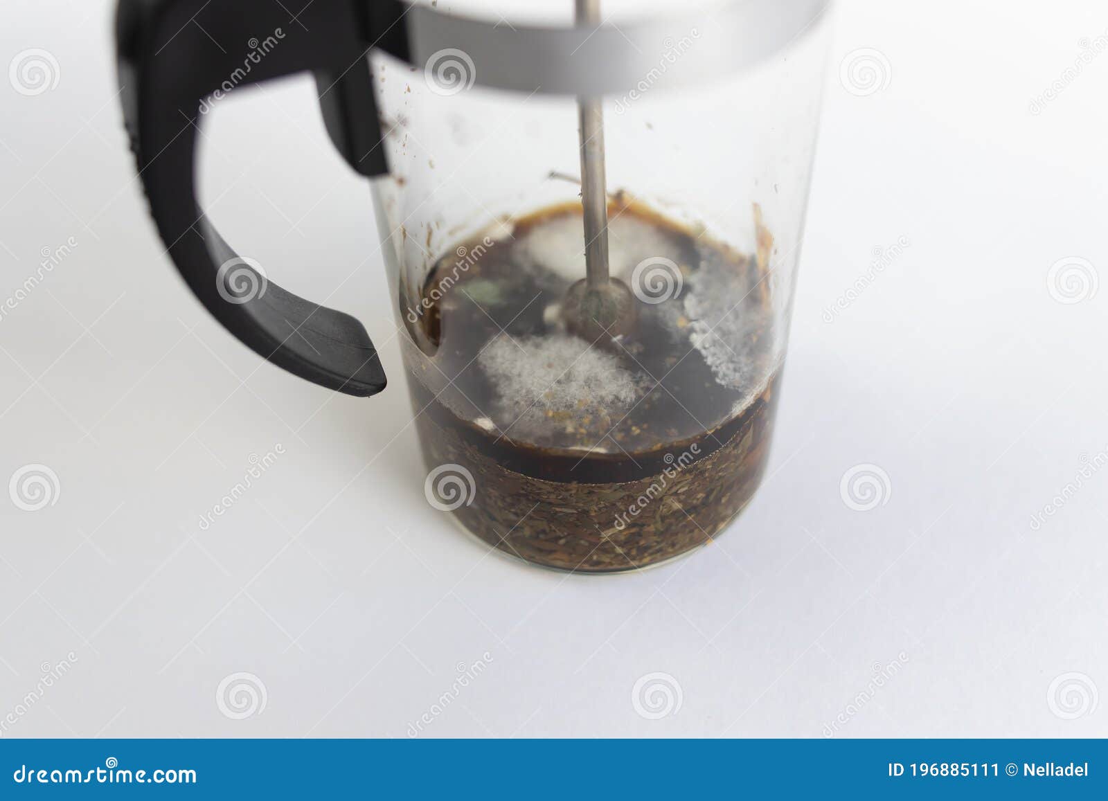 Mold in Tea Pot on White Background Stock Image - Image of toxic ...