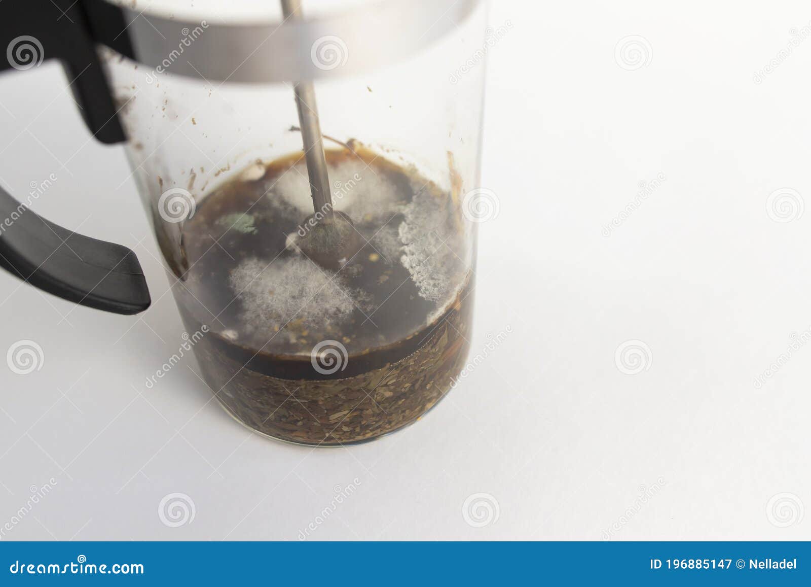 Mold in Tea Pot on White Background Stock Image - Image of damage ...