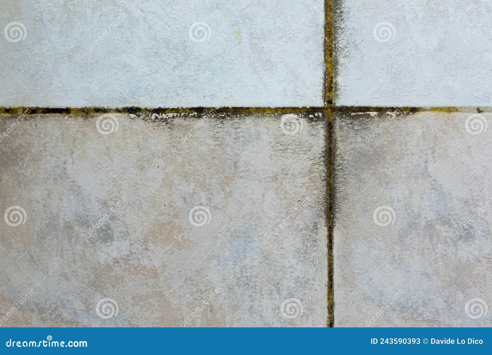 Mold on the Tiles stock image. Image of mould, wall - 243590393