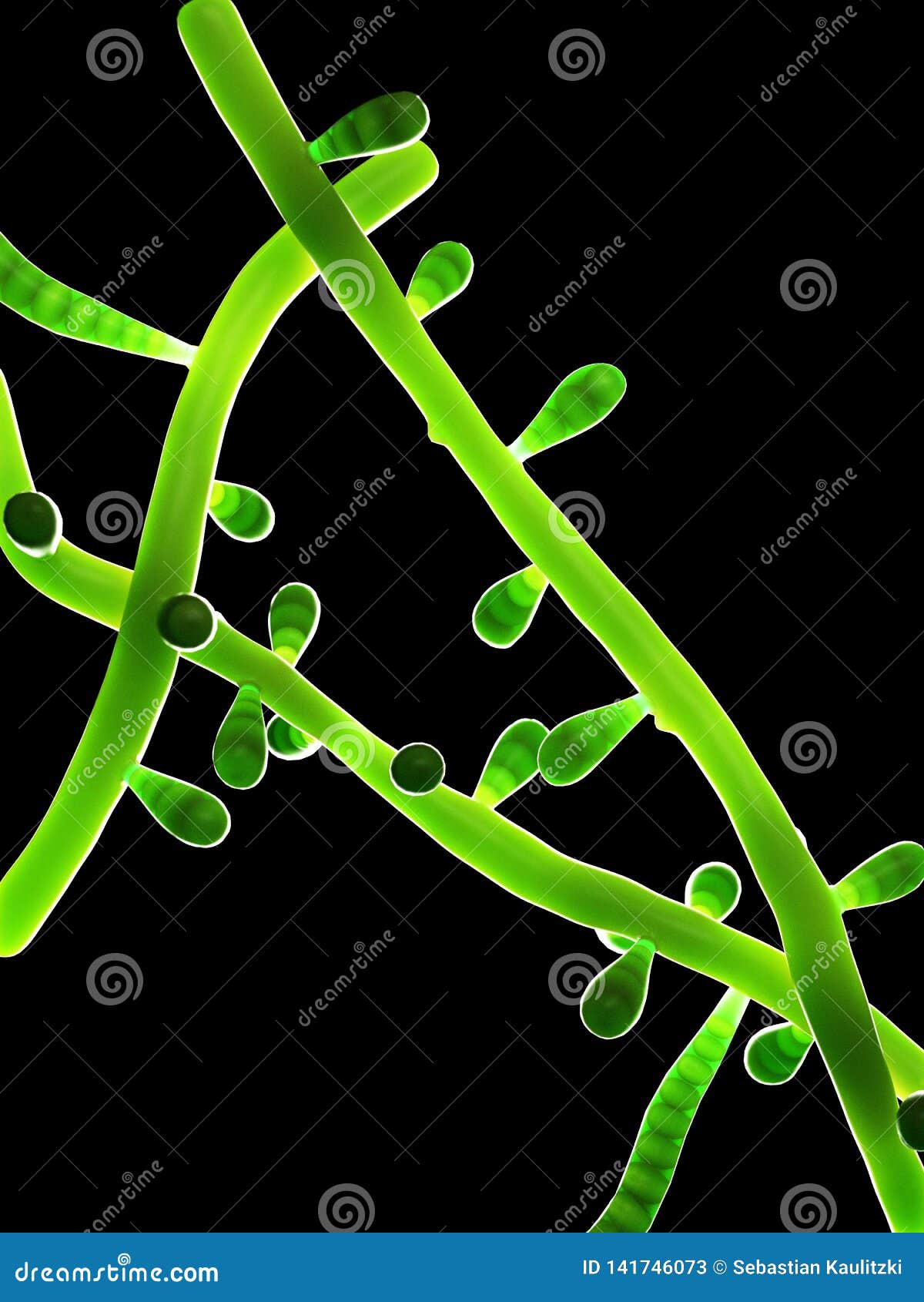 The mold - trichophyton stock illustration. Illustration of colorful ...