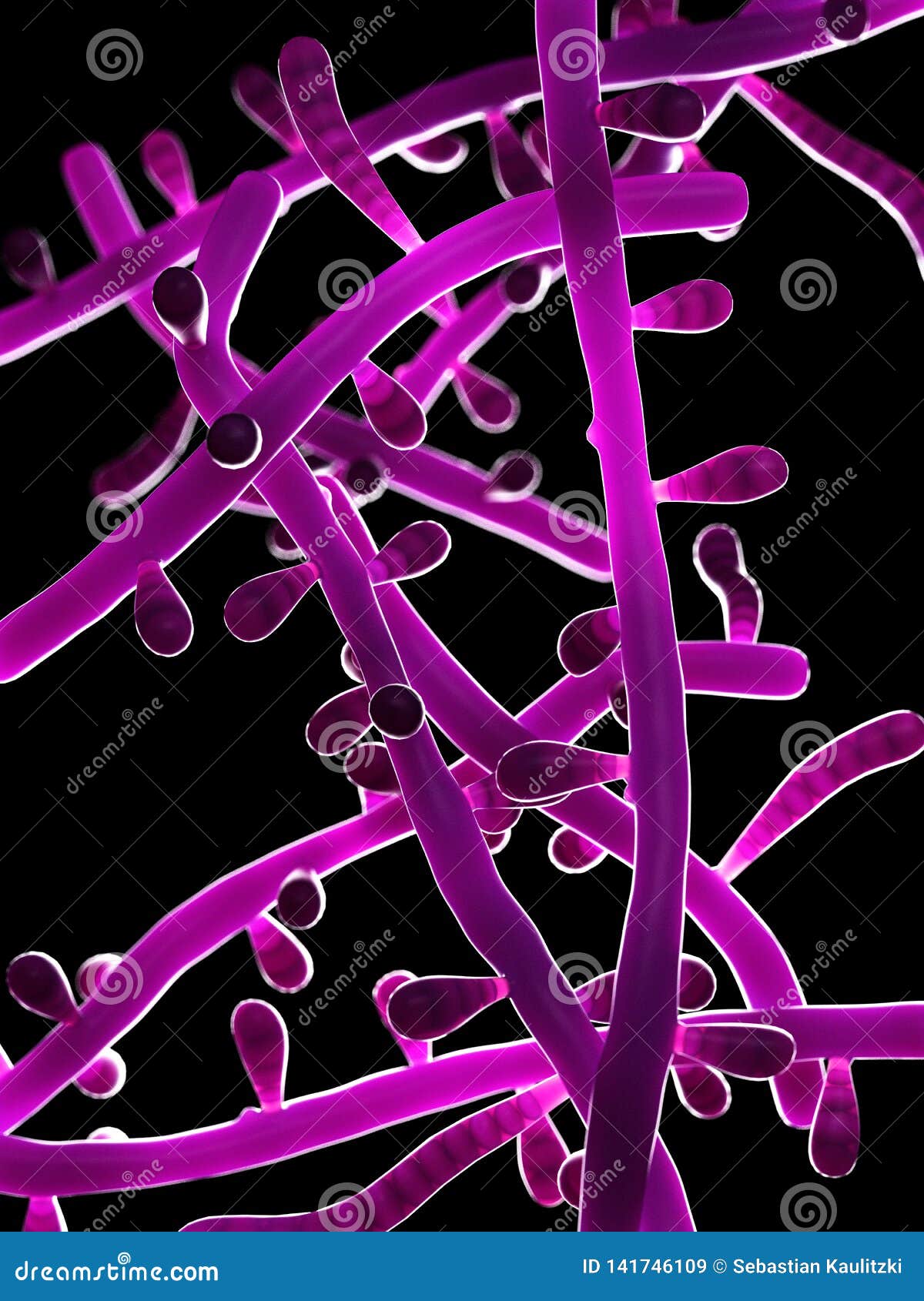 Trichophyton Cartoons, Illustrations & Vector Stock Images - 335 ...