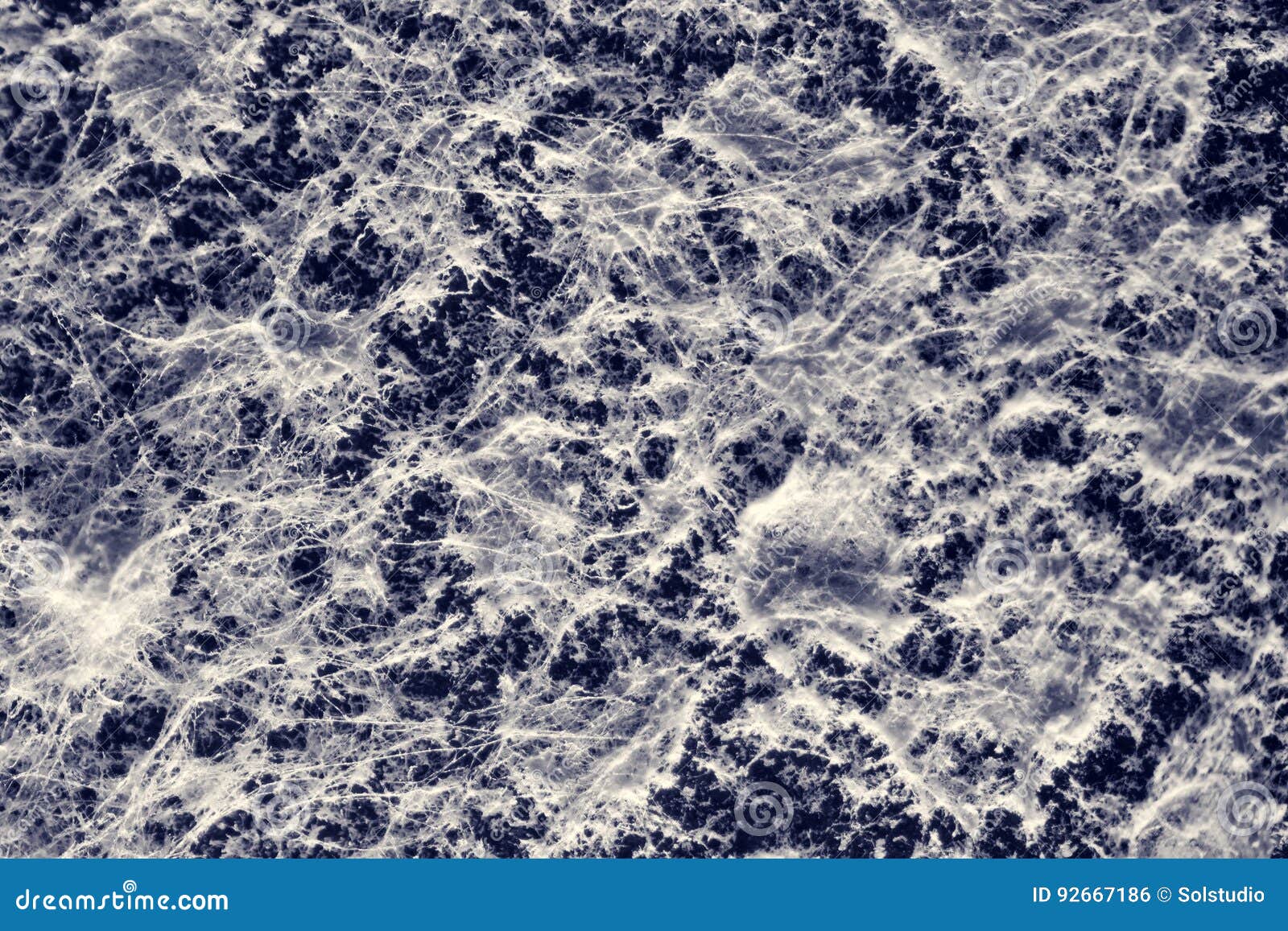 Mold under a microscope stock photo. Image of laboratory - 92667186