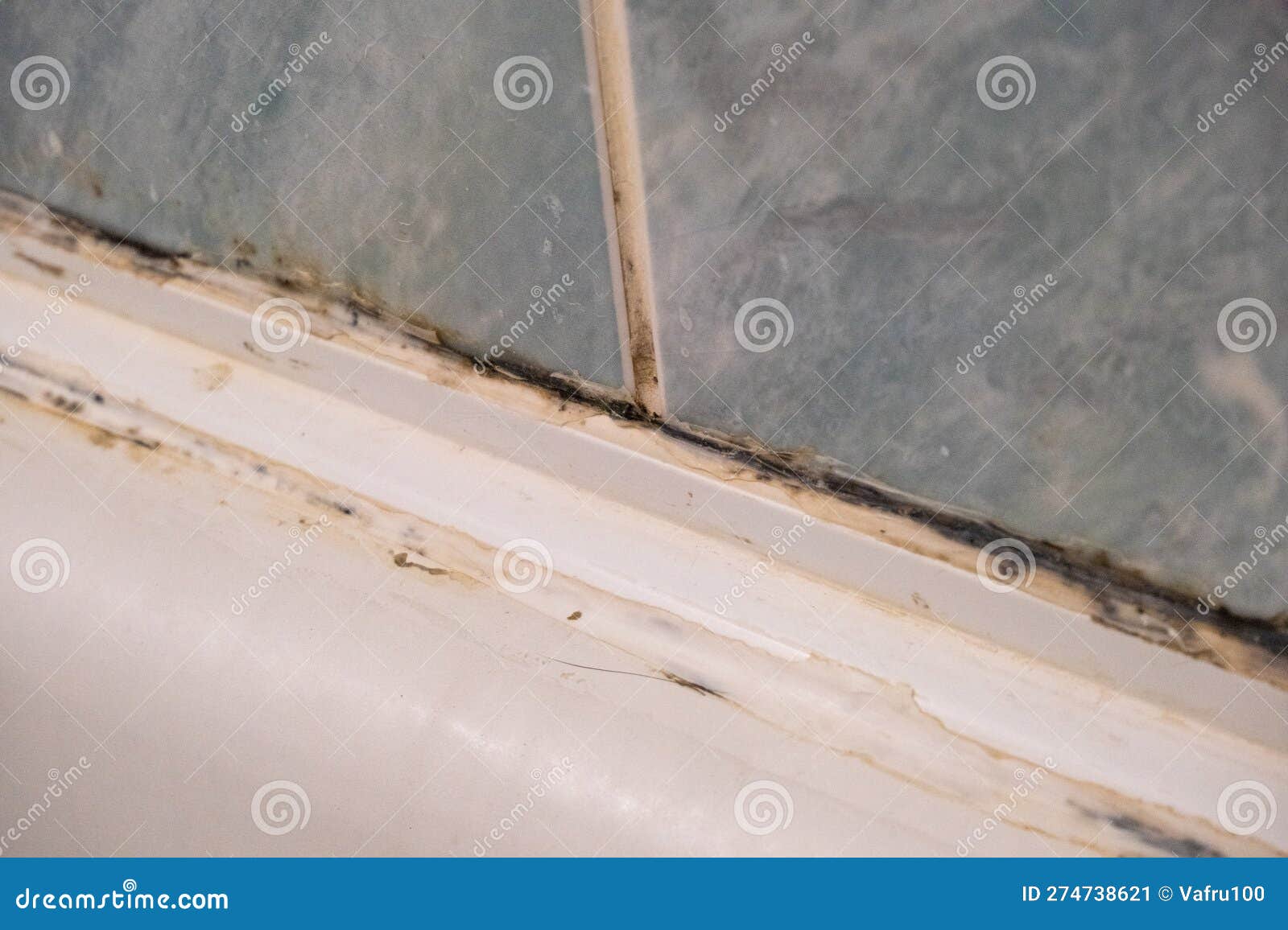 Mold on the Wall in the Bathroom. Humidity in the Room. Stock Image ...