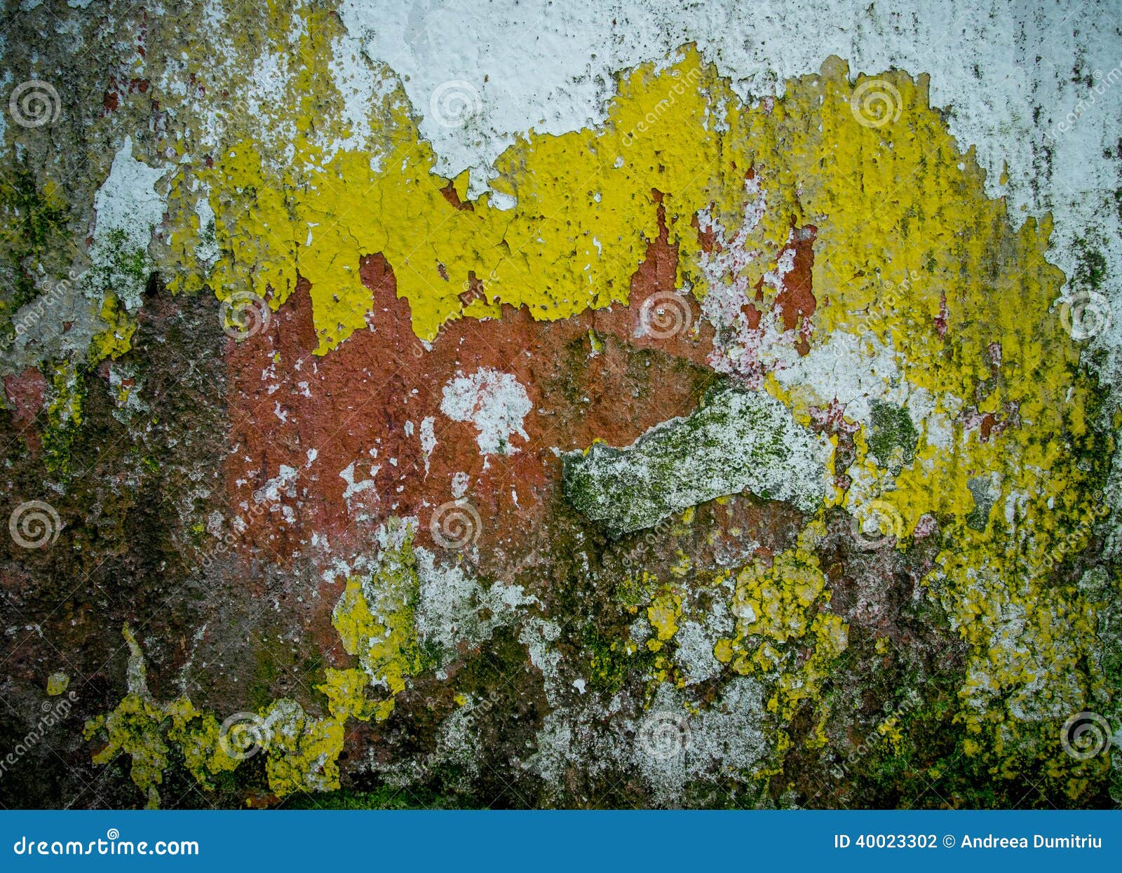 Mold Wall stock photo. Image of colorful, backgrounds - 40023302