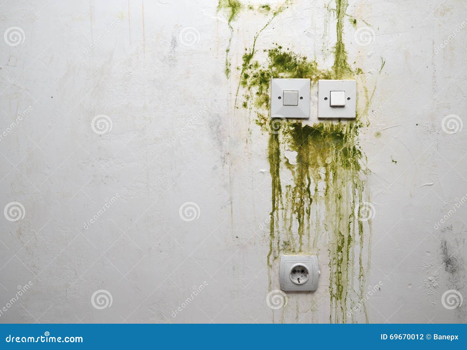 Mold on Wall with Switches and Plug Stock Photo - Image of natural ...