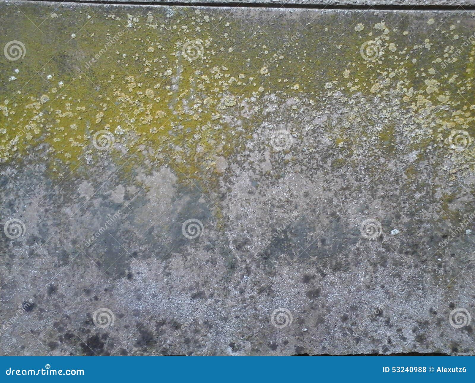 Mold Wall Texture stock photo. Image of wall, decadent - 53240988