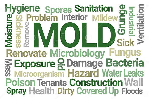 Mold Word Cloud stock illustration. Illustration of microorganism ...