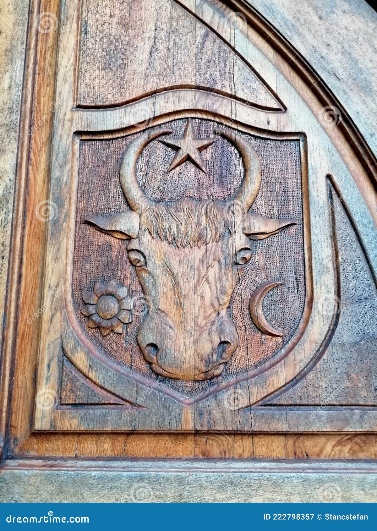 Moldavian Buffalo head editorial photography. Image of vorone - 222798357