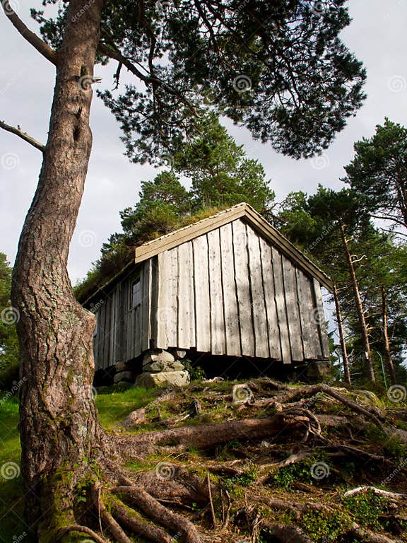 Molde stock photo. Image of flower, vacancy, museum, trees - 36275684