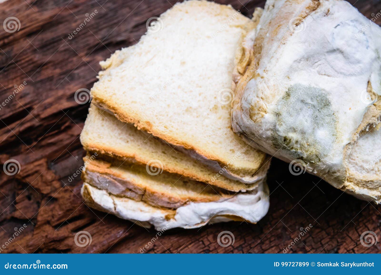 Molde Encima Del Pan Que Ha Expirado Imagen de archivo - Imagen de ...