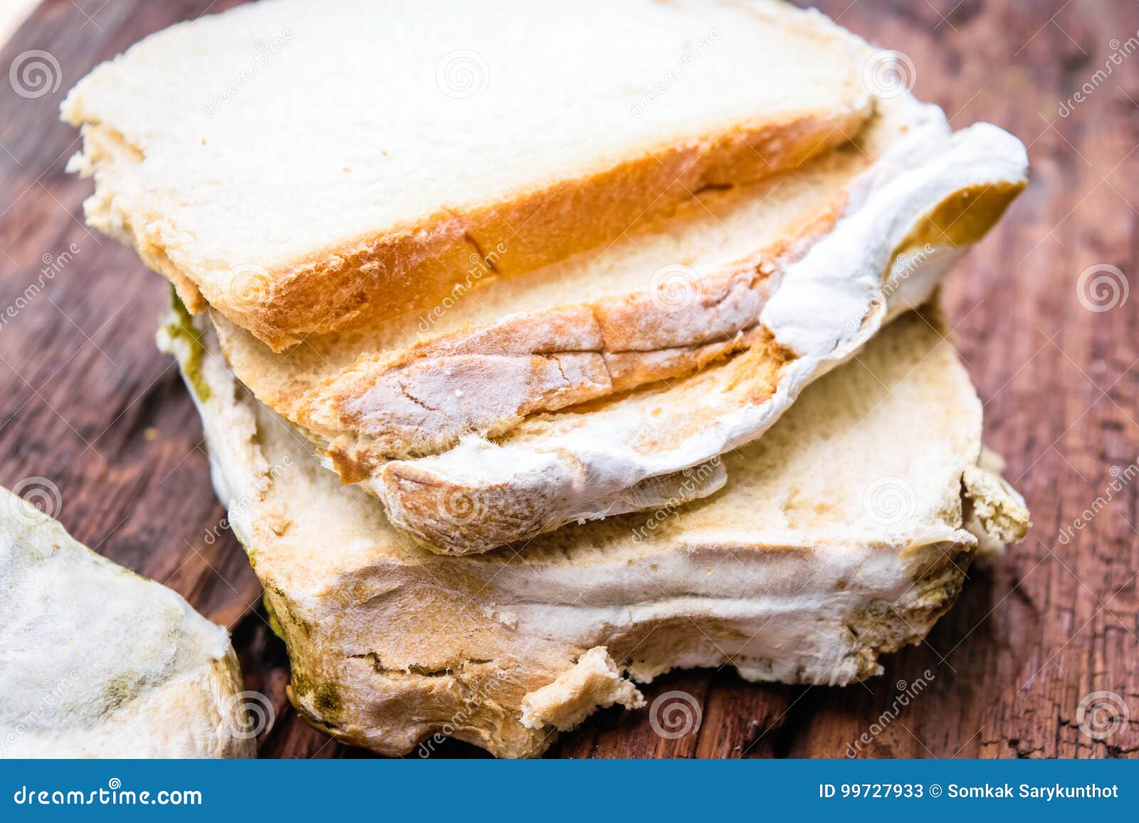 Molde Encima Del Pan Que Ha Expirado Imagen de archivo - Imagen de ...