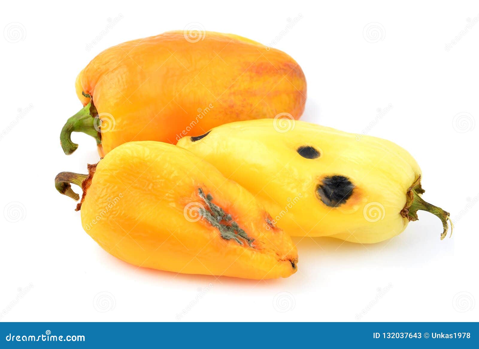 Molded bell paper stock image. Image of bell, conidia - 132037643