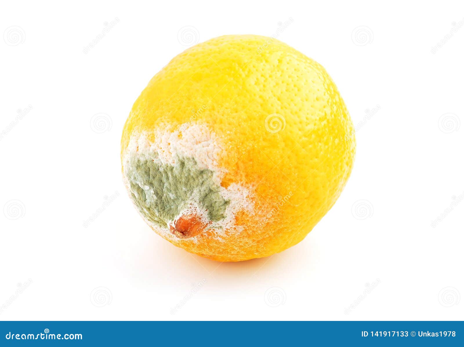 Molded lemon on white stock image. Image of lemon, garbage - 141917133