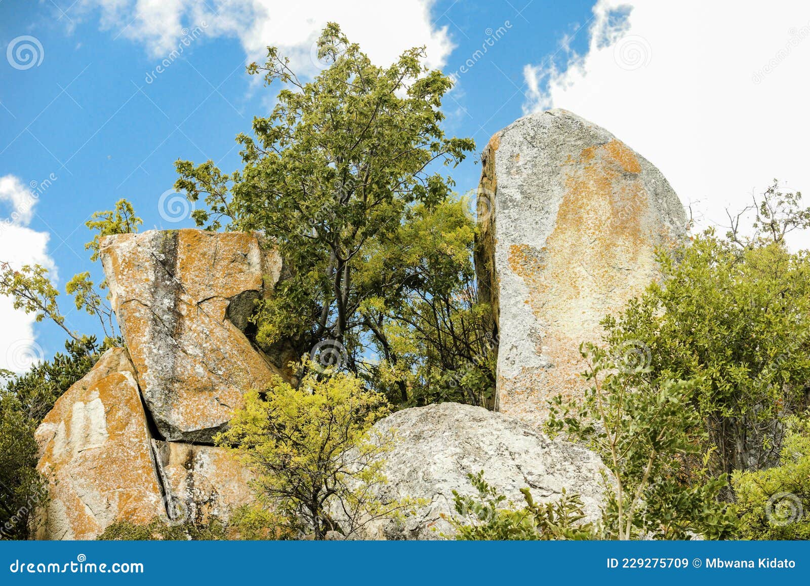 Molded rock under blue sky stock image. Image of flower - 229275709