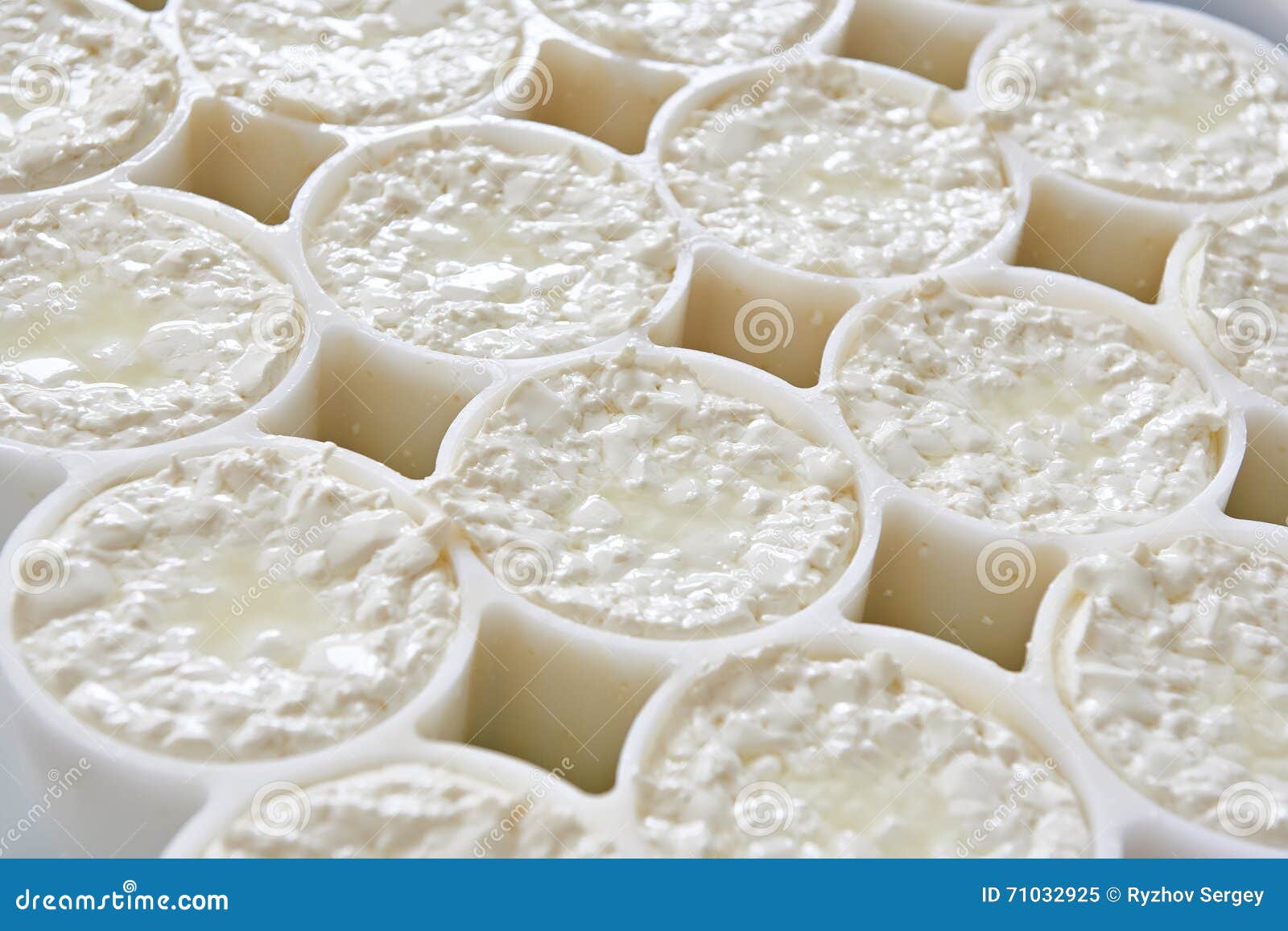 Molds Semifinished Production Camembert Stock Photos - Free & Royalty ...