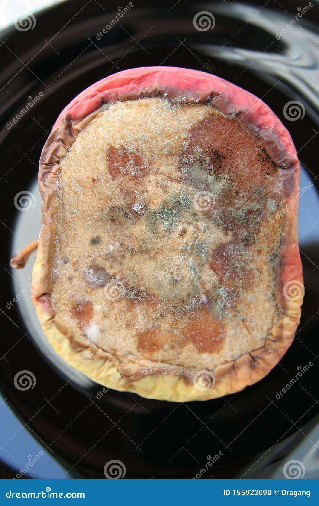 Moldy Apple. Bad Apple. Bad Fruit. Rotten Fruit. Rotten Apple Stock ...